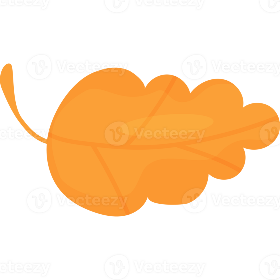 Oak Leaf Autumn 27382250 Png