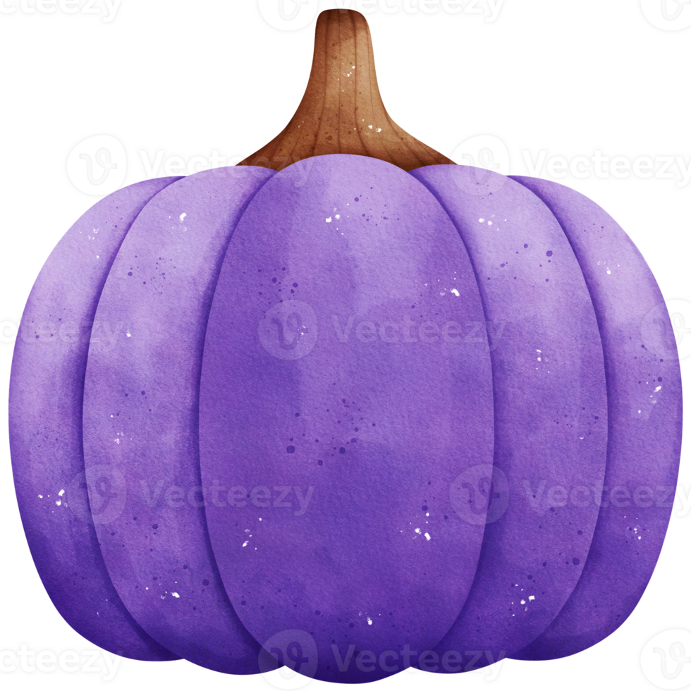 Watercolor Purple Pumpkin Illustration 27386182 PNG Watercolor Purple Pumpkin Illustration 27386182 PNG