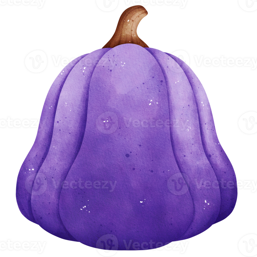 Watercolor Purple Pumpkin Illustration 27386225 PNG