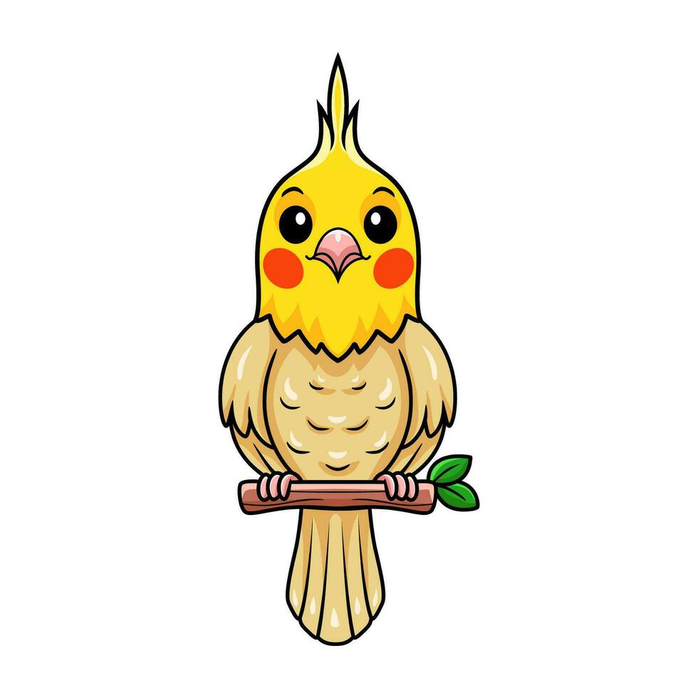 Cute Lutino Cockatiel Bird Cartoon On Tree Branch 27390770 Vector Art At Vecteezy
