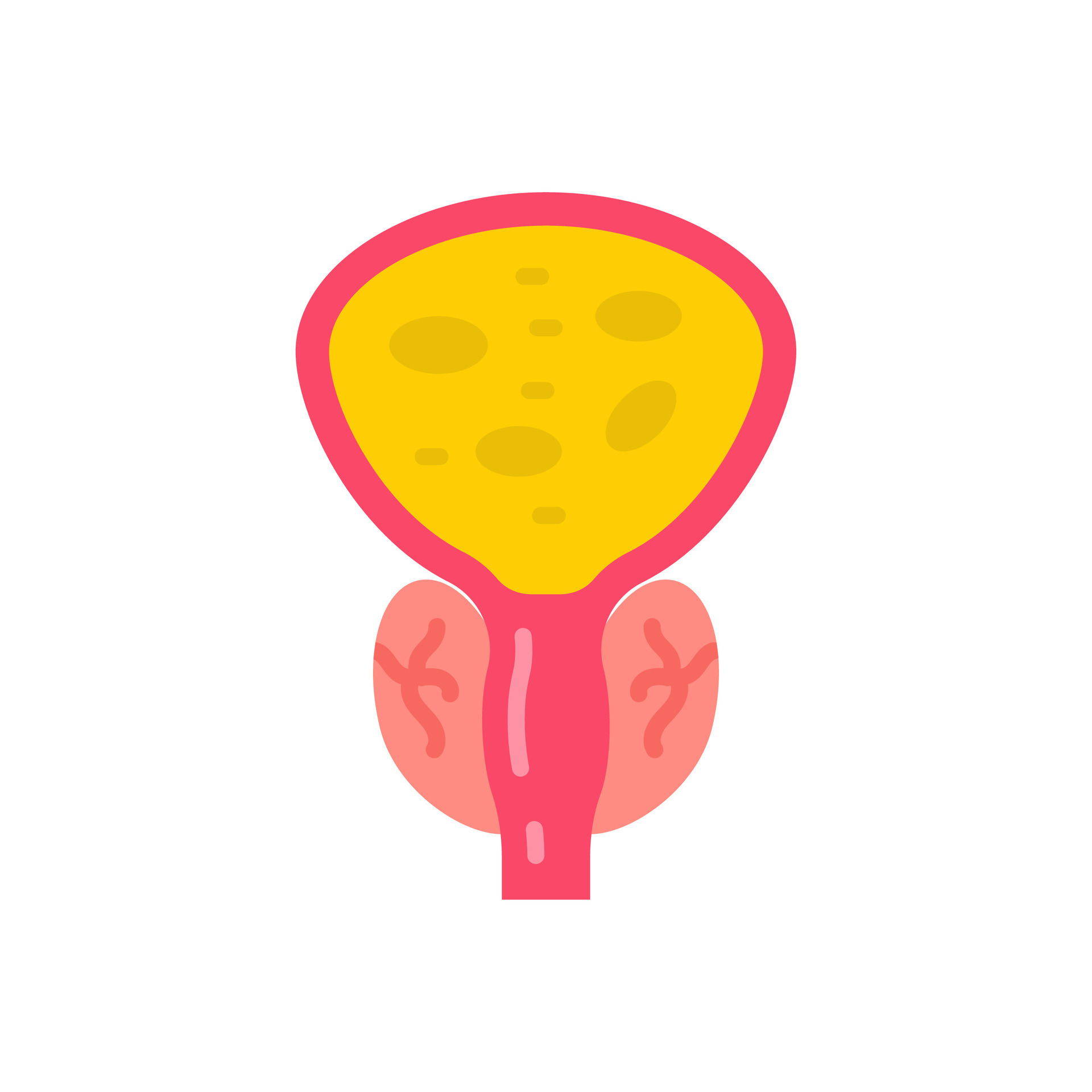 Prostate Icon In Vector Illustration 27397486 Vector Art At Vecteezy