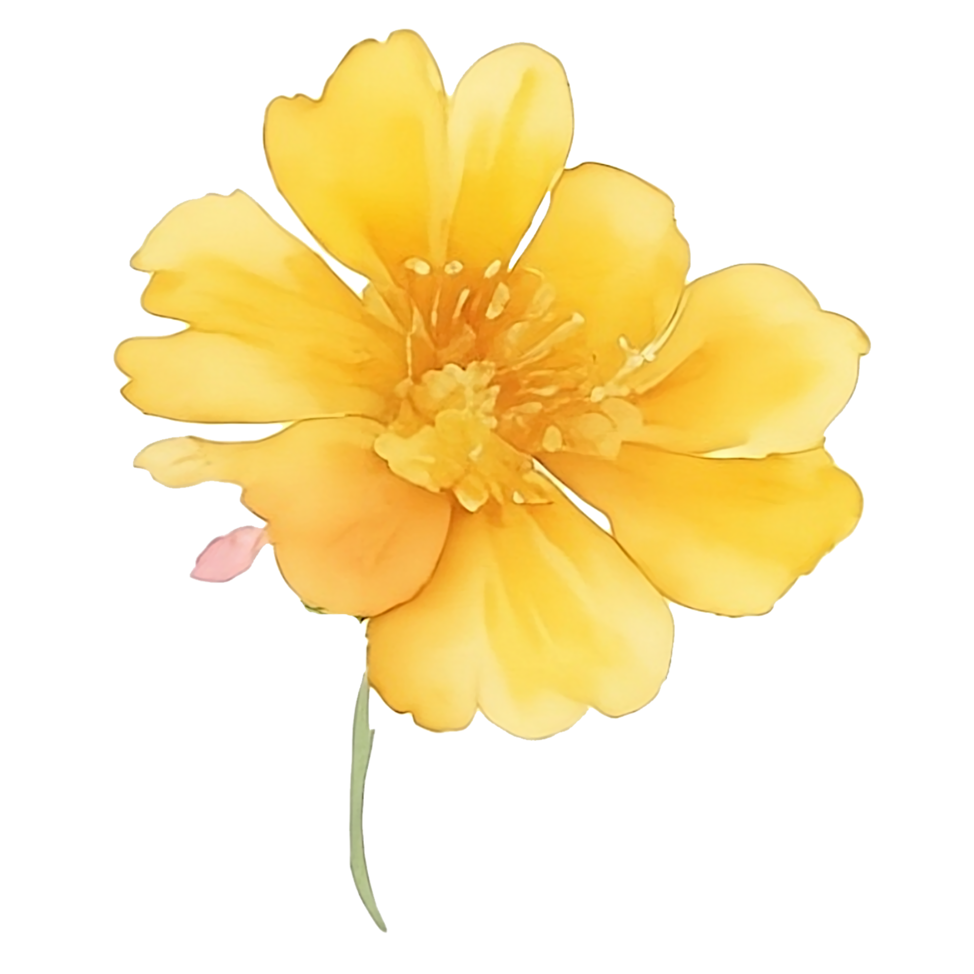 Yellow Flower Watercolor Ai Generative 27419825 Png