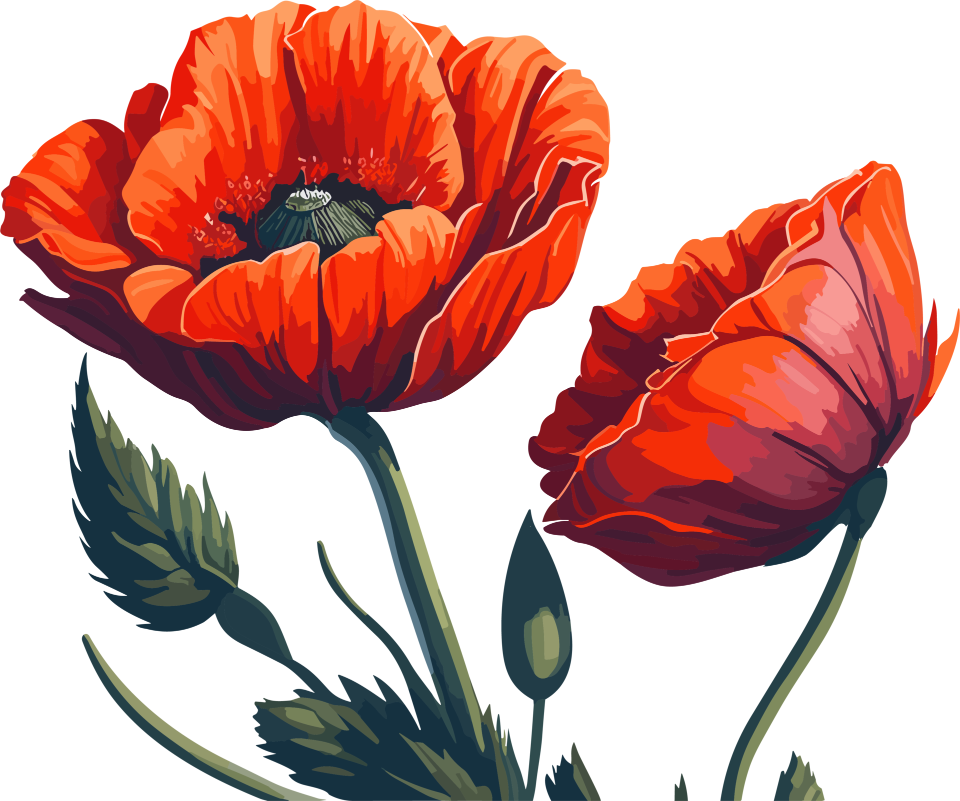 Red Poppy Flower Ai Generative 27433557 Png