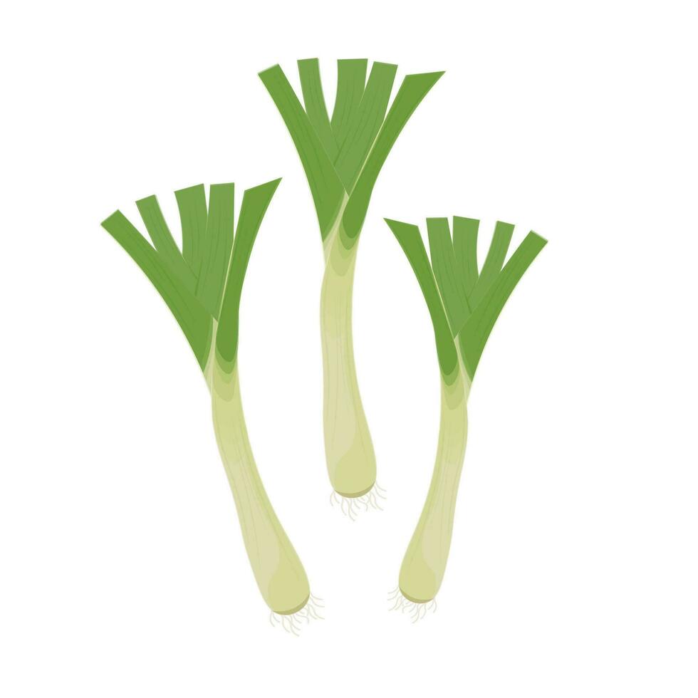 Fresh Green leeks Vector Illustration Logo 27443437 Vector Art at Vecteezy Fresh Green leeks Vector Illustration Logo 27443437 Vector Art at Vecteezy