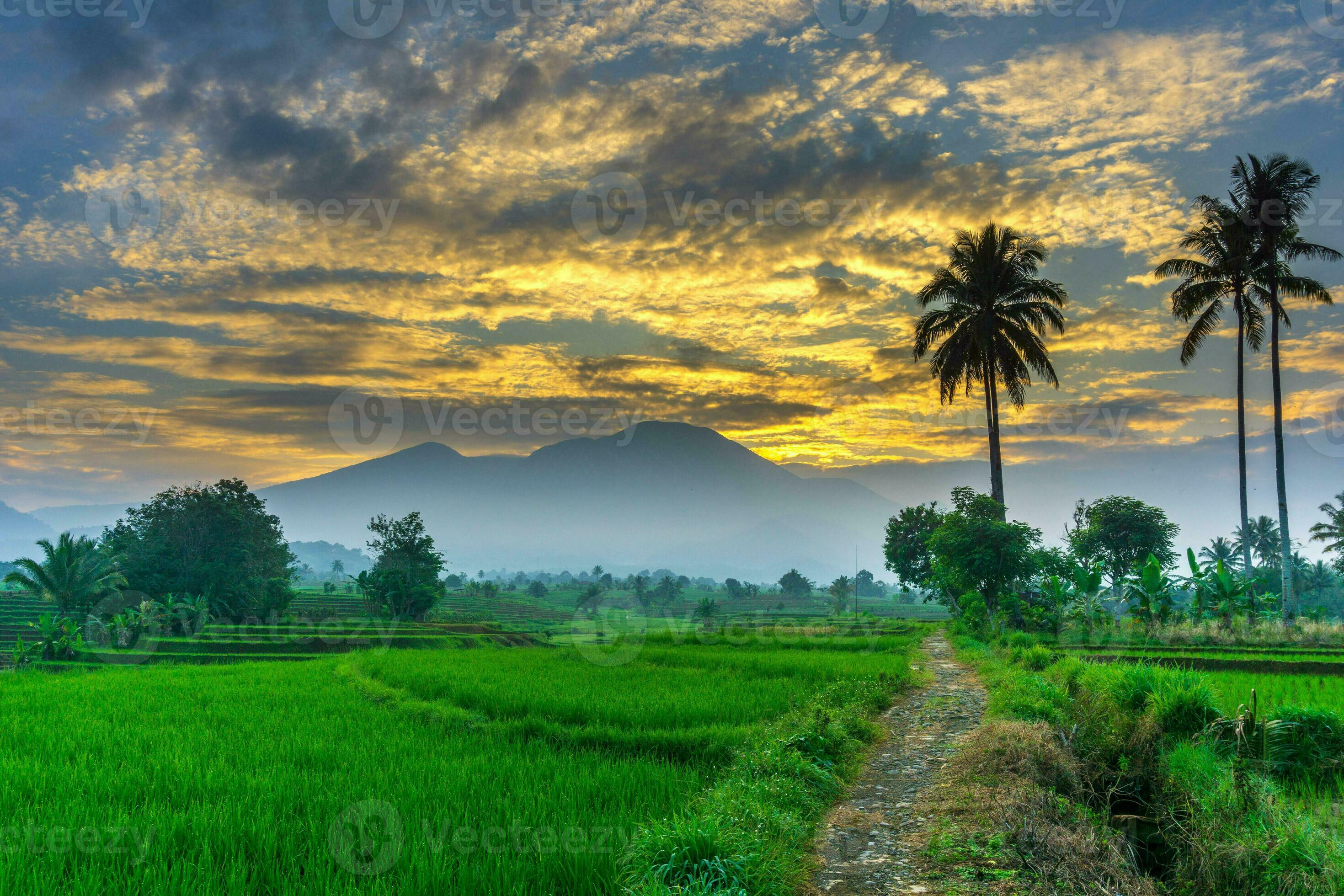 Beautiful morning view indonesia Panorama Landscape paddy fields with beauty color and sky ...