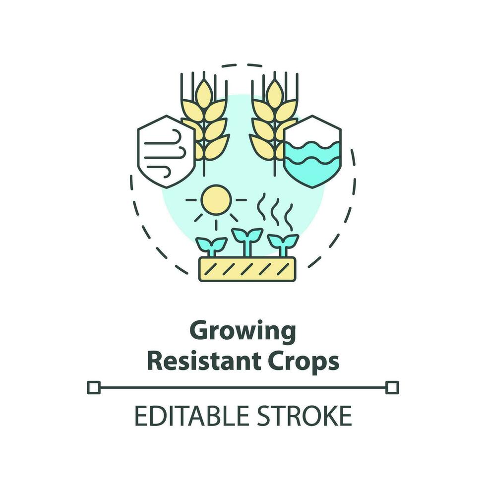 Editable Growing Resistant Crops Icon Representing Heatflation Concept Isolated Vector Global