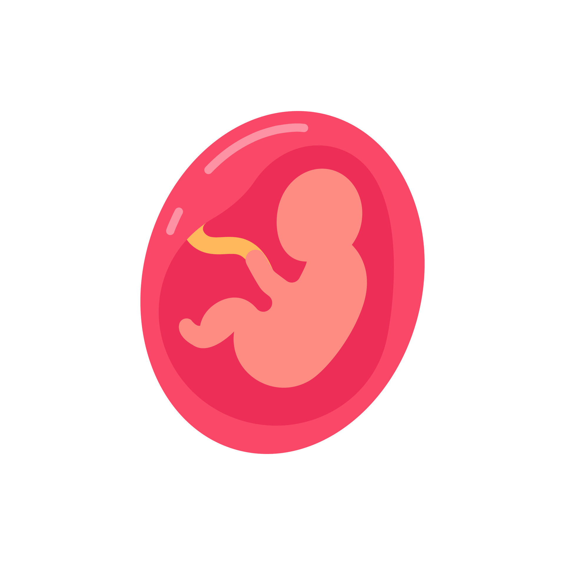 Fetus icon in vector. Illustration 27538355 Vector Art at Vecteezy