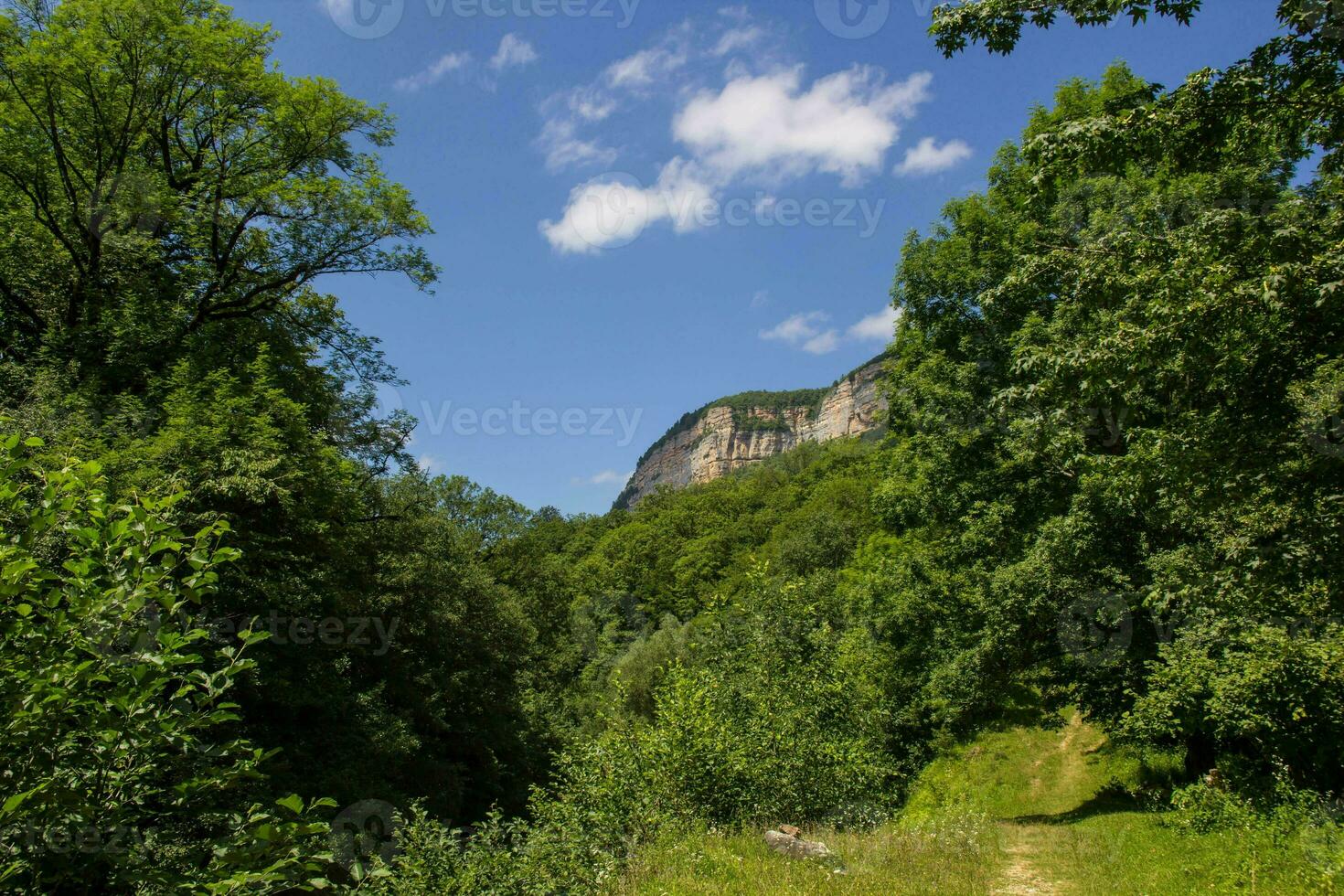 Mountains and forest under light blue sky with clouds 27541780 Stock ...
