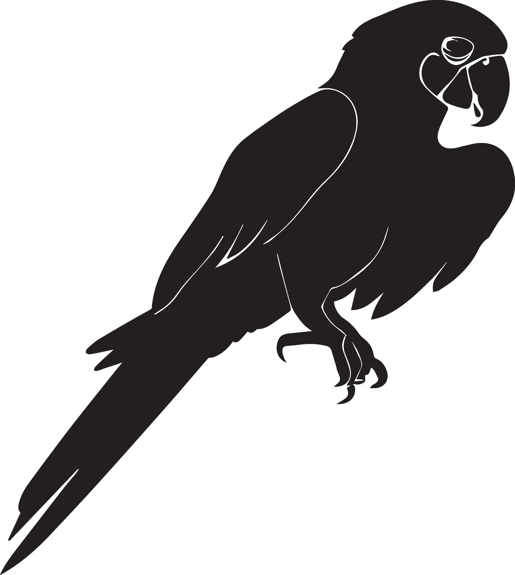 Parrot Vector Silhouette Illustration 27543760 Vector Art At Vecteezy