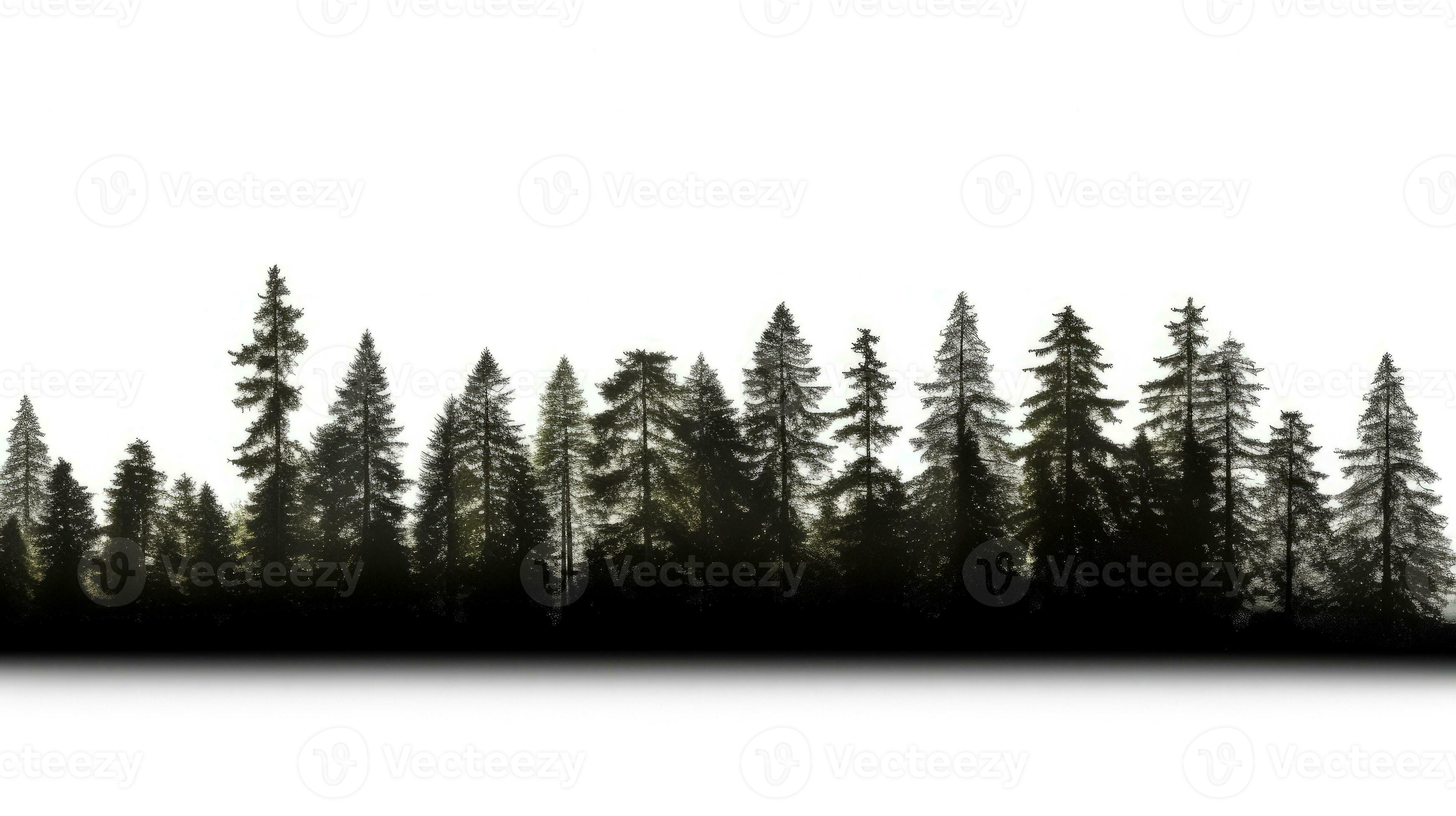 HD Treeline on White Background. silhouette concept 27597122 Stock Photo at Vecteezy