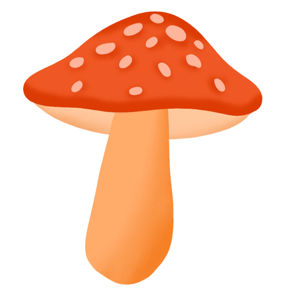 Hand Drawn Mushroom 27605537 Png