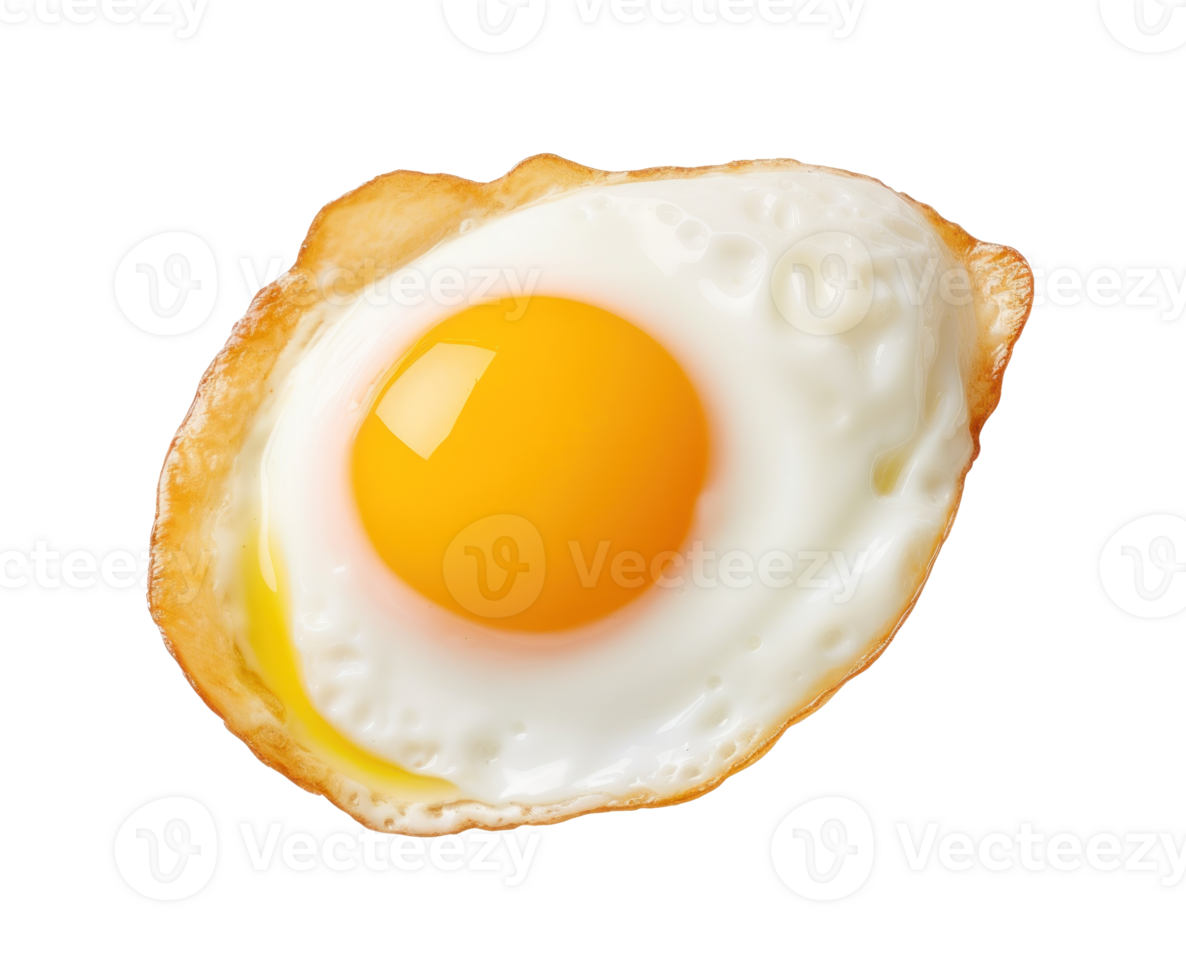 Fried egg isolated 27729288 PNG Fried egg isolated 27729288 PNG
