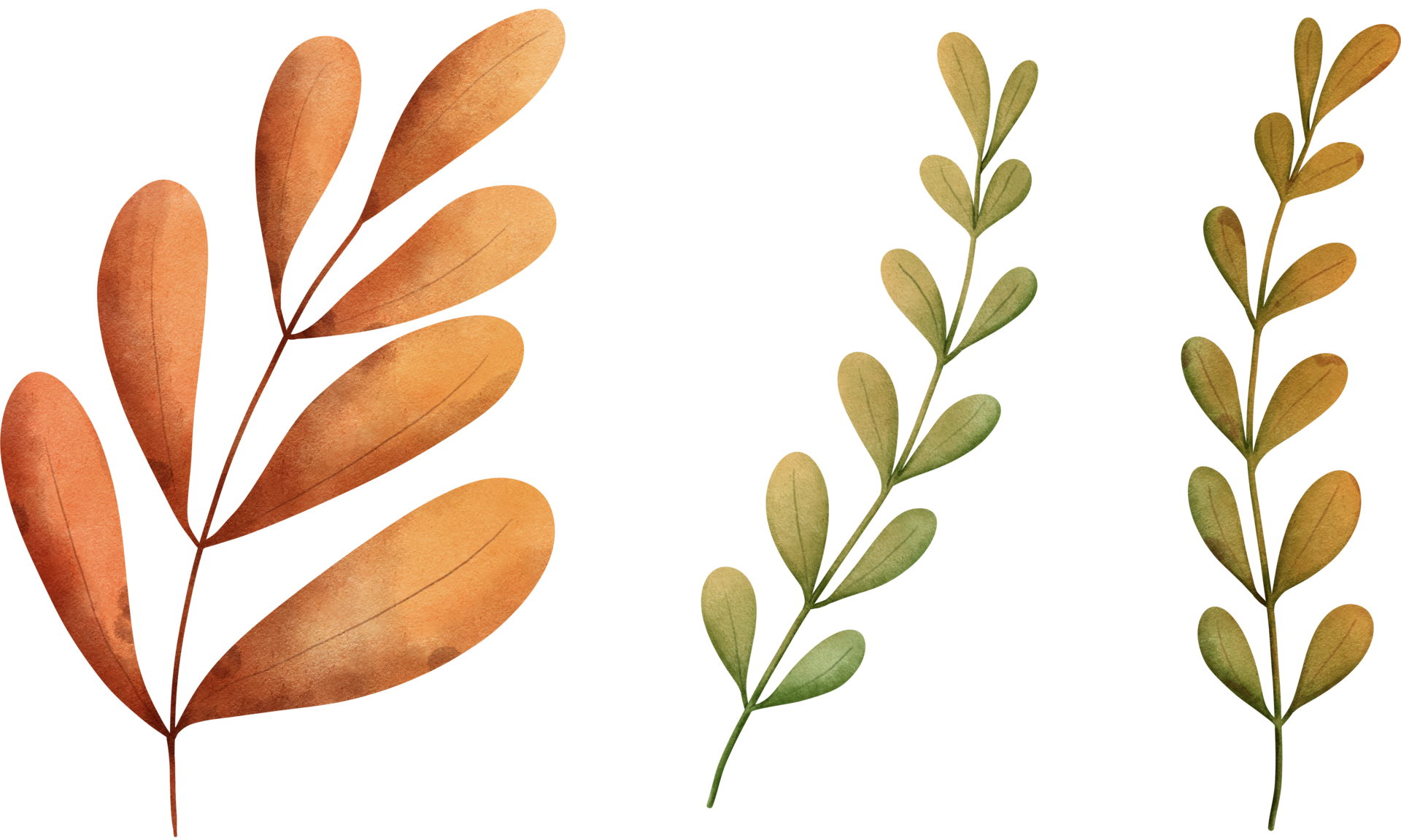 Set of hand drawn watercolor autumn leaves clipart.Watercolor realistic ...