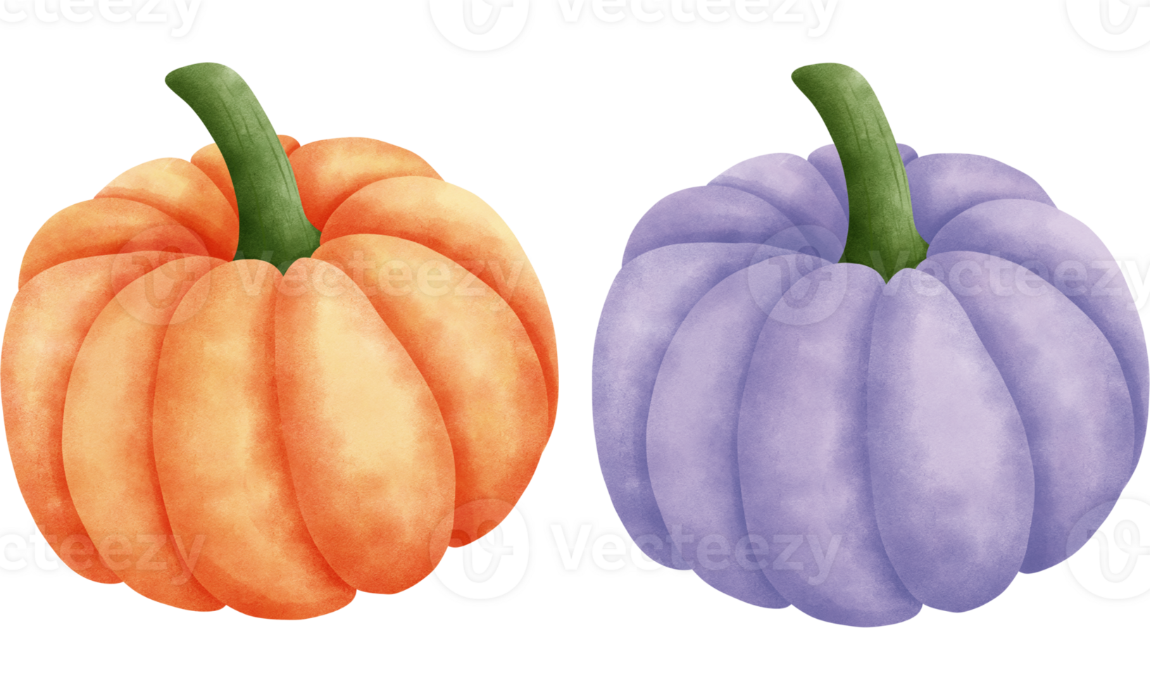 Set of watercolor pumpkins illustration for autumn decorations.Orange ...