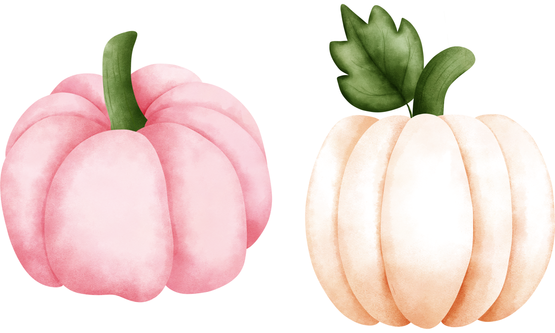 Set of watercolor pumpkins illustration for autumn decorations.Pink and ...