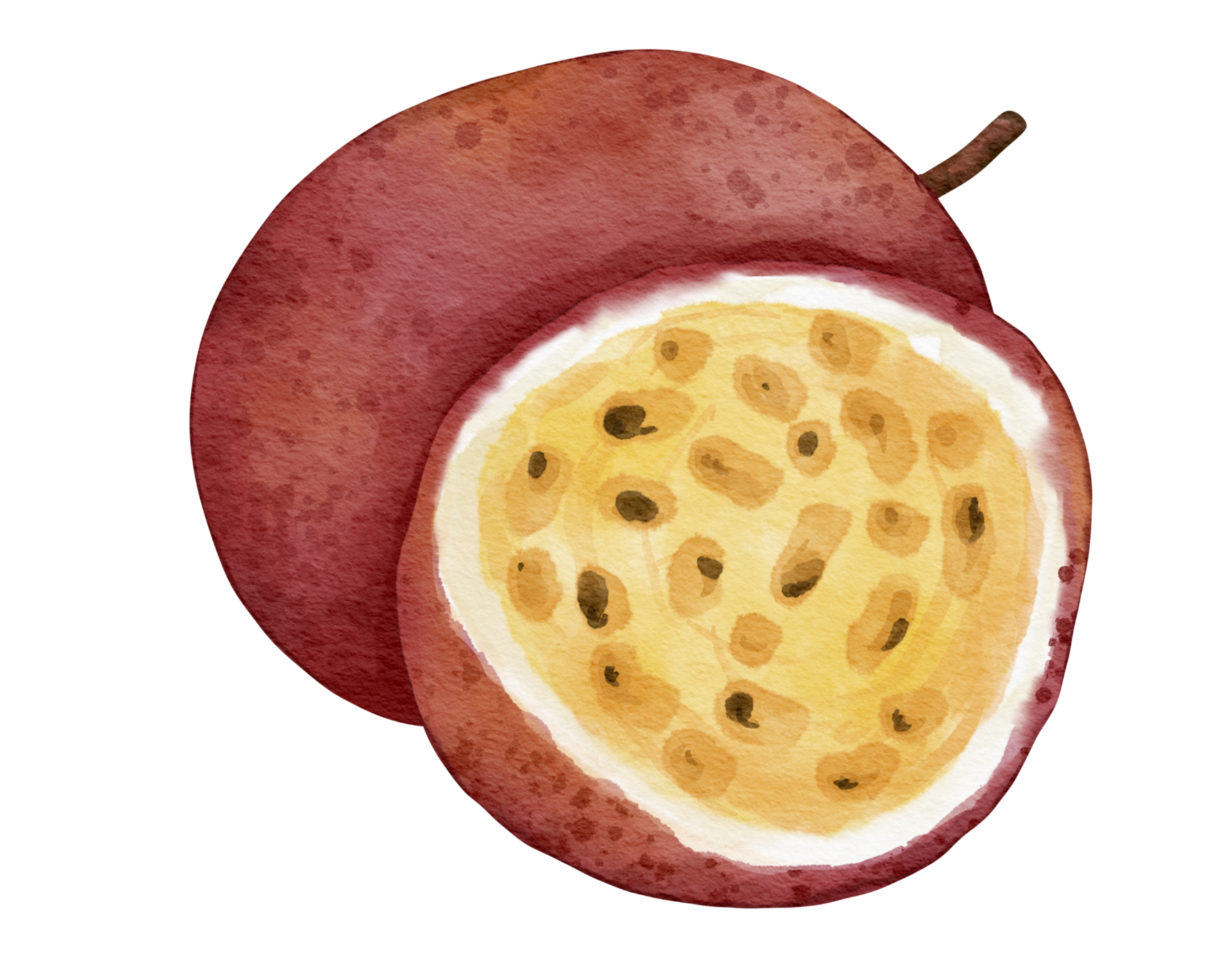 Passionfruit Fruit Watercolor Illustration Isolated Element 27782305 Png