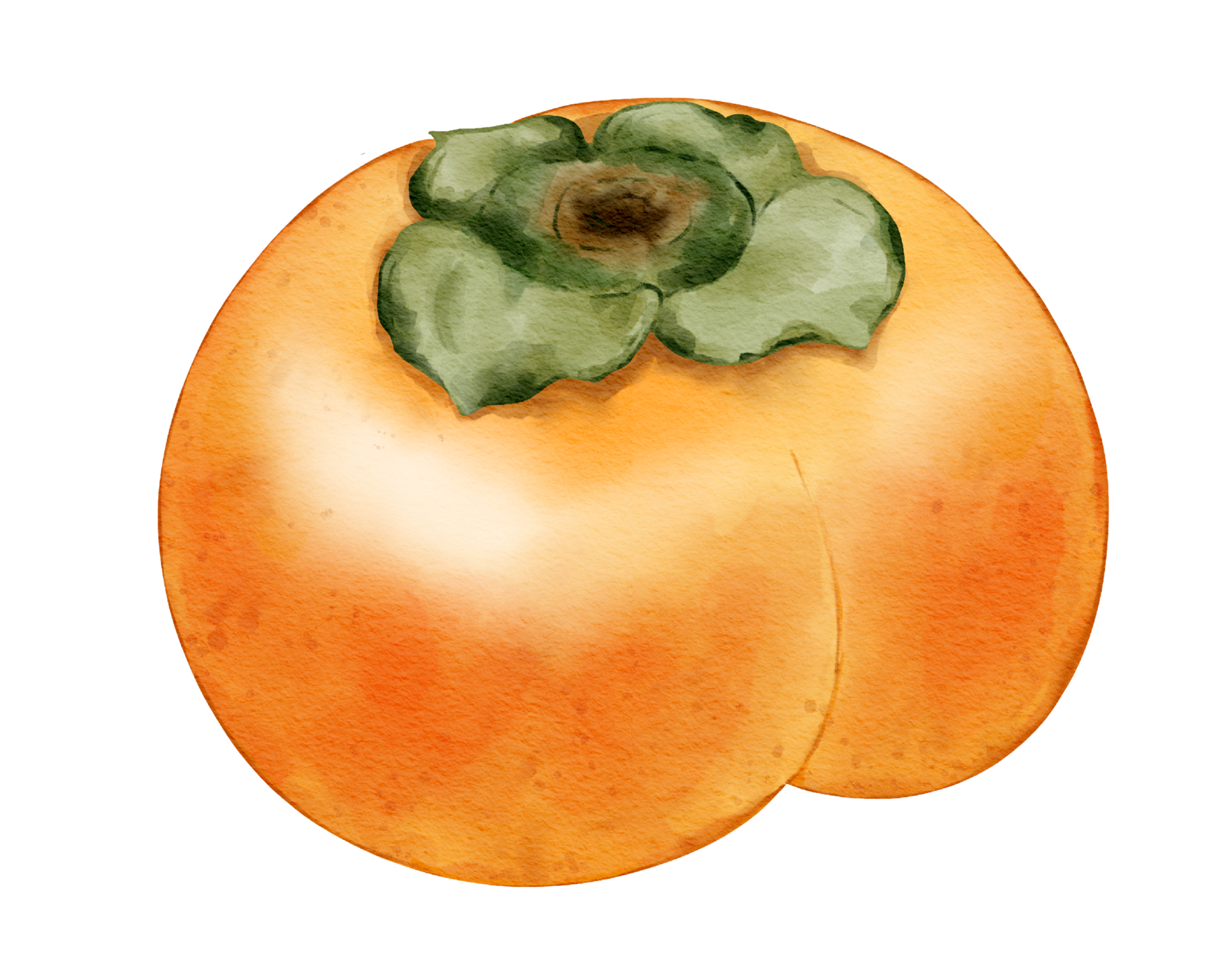 Caqui Fruta Acuarela Ilustración Aislado Elemento 27782334 Png
