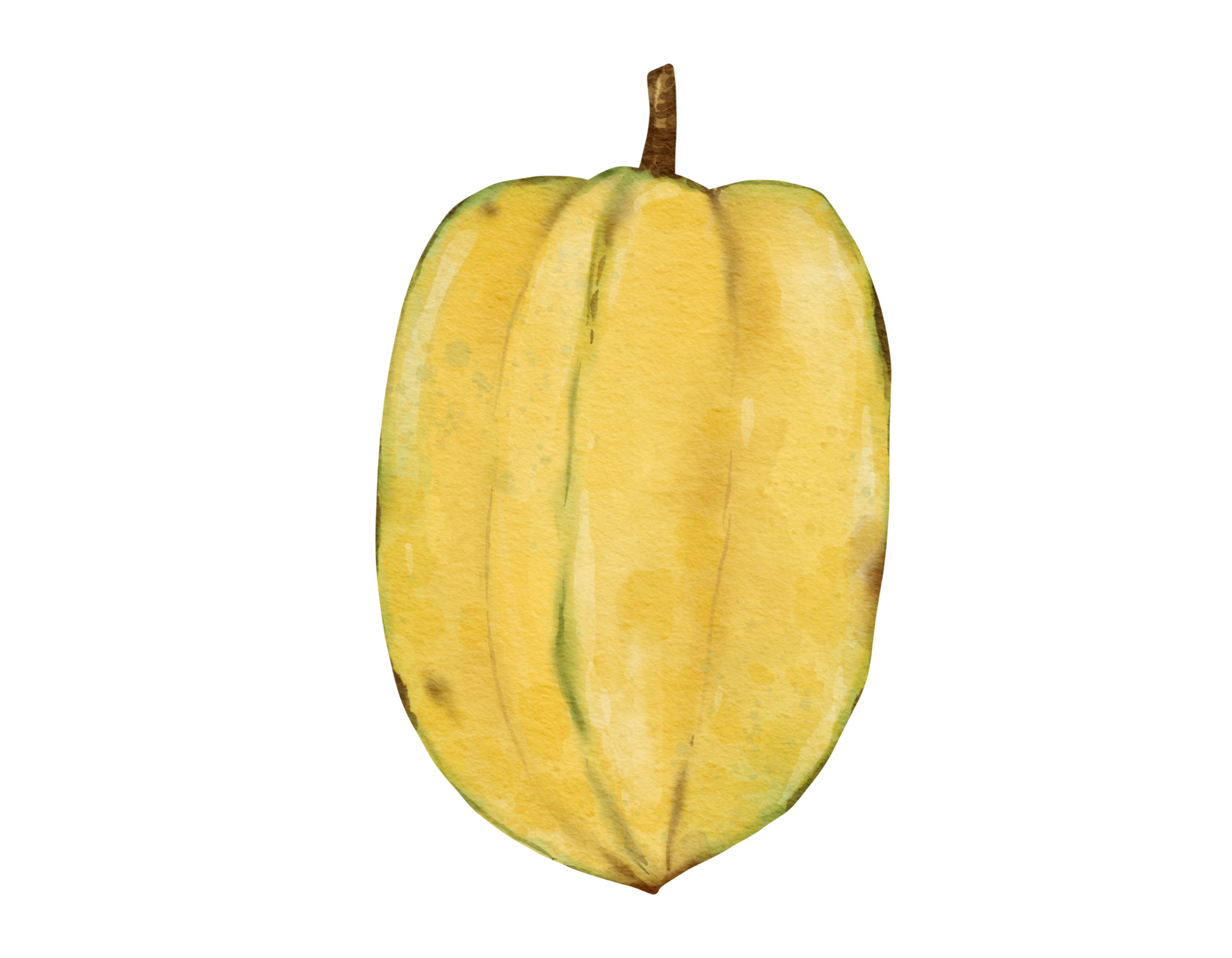 Fruta Estrella Fruta Acuarela Ilustración Aislado Elemento 27782345 Png