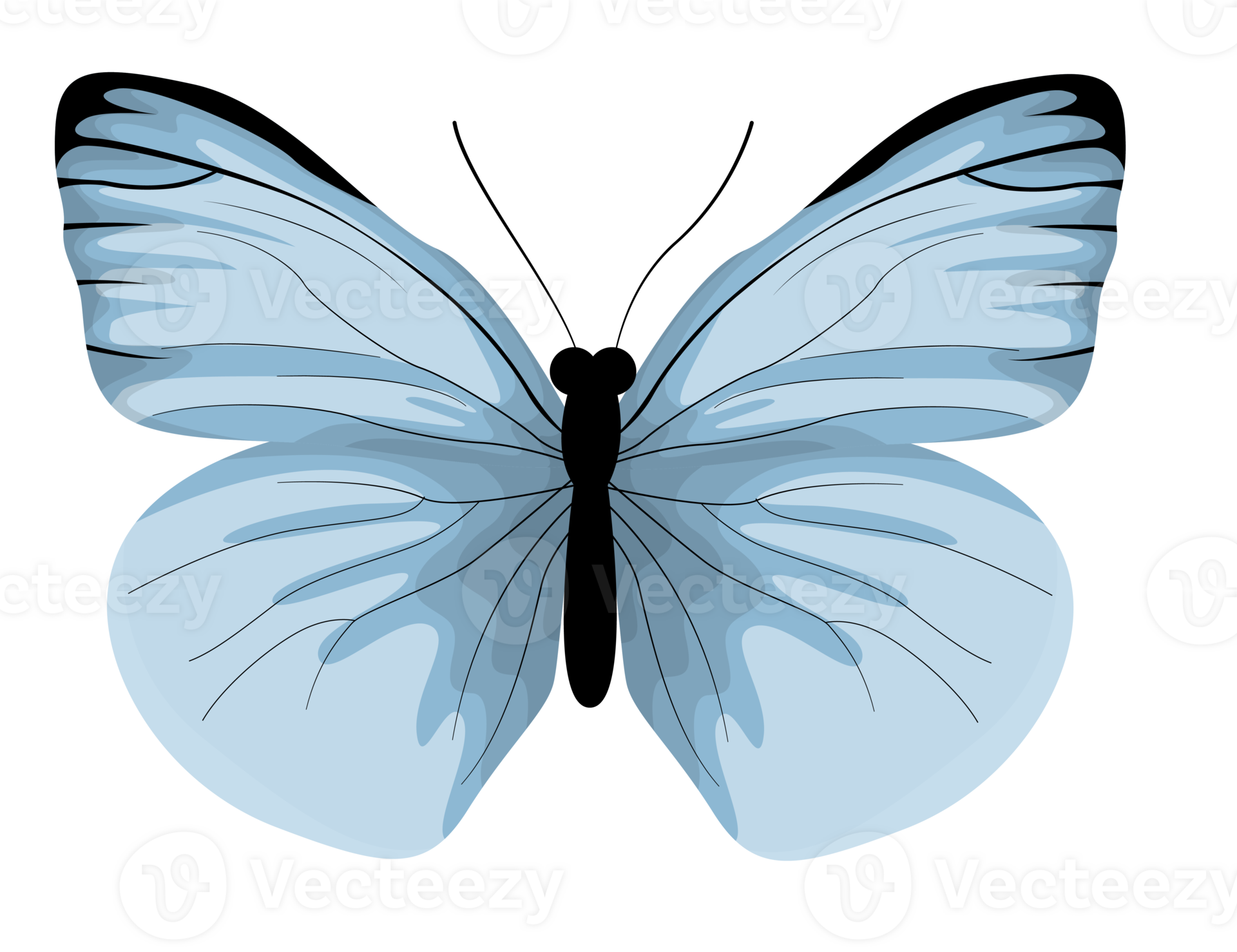 Realistic Blue Butterfly Illustration Blue Butterfly Vector Insect Butterfly Collection