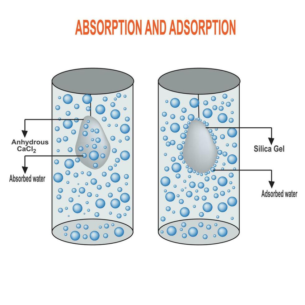 difference between adsorption and absorption vector illustration ... difference between adsorption and absorption vector illustration ...
