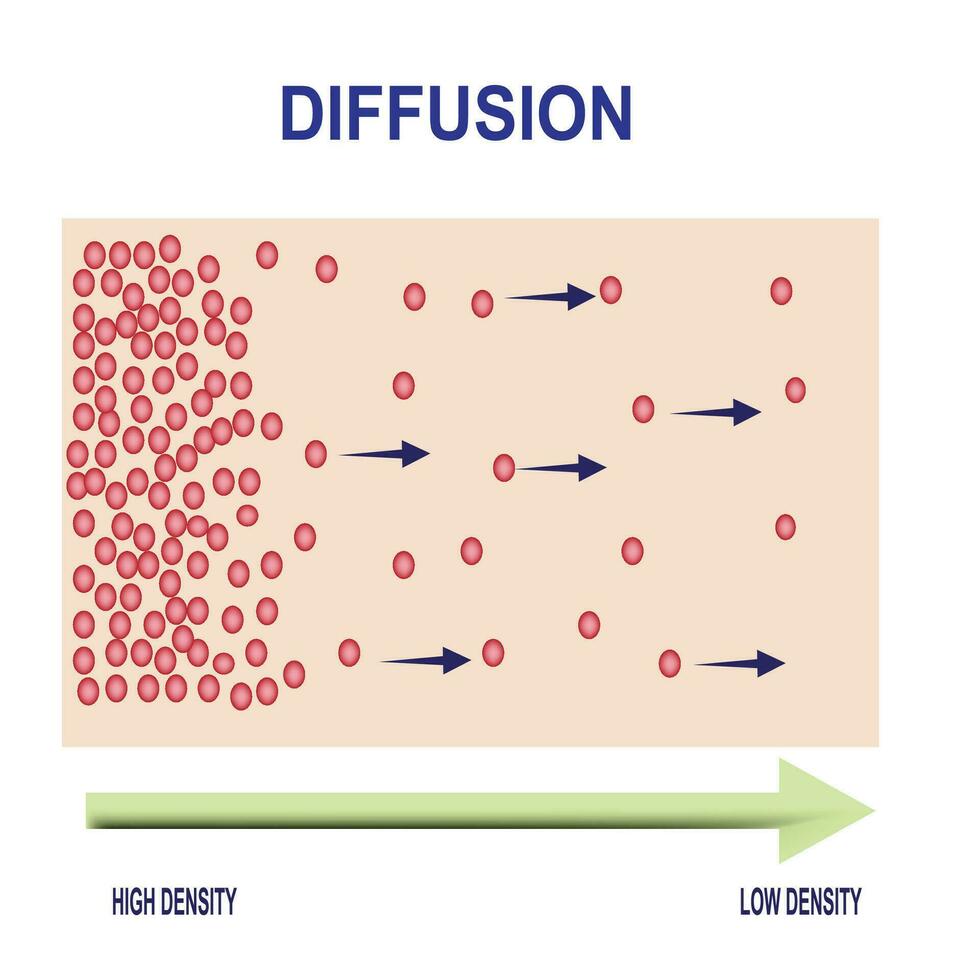 DIFFUSION. CHEMISTRY CONCEPT. 27798535 Vector Art at Vecteezy
