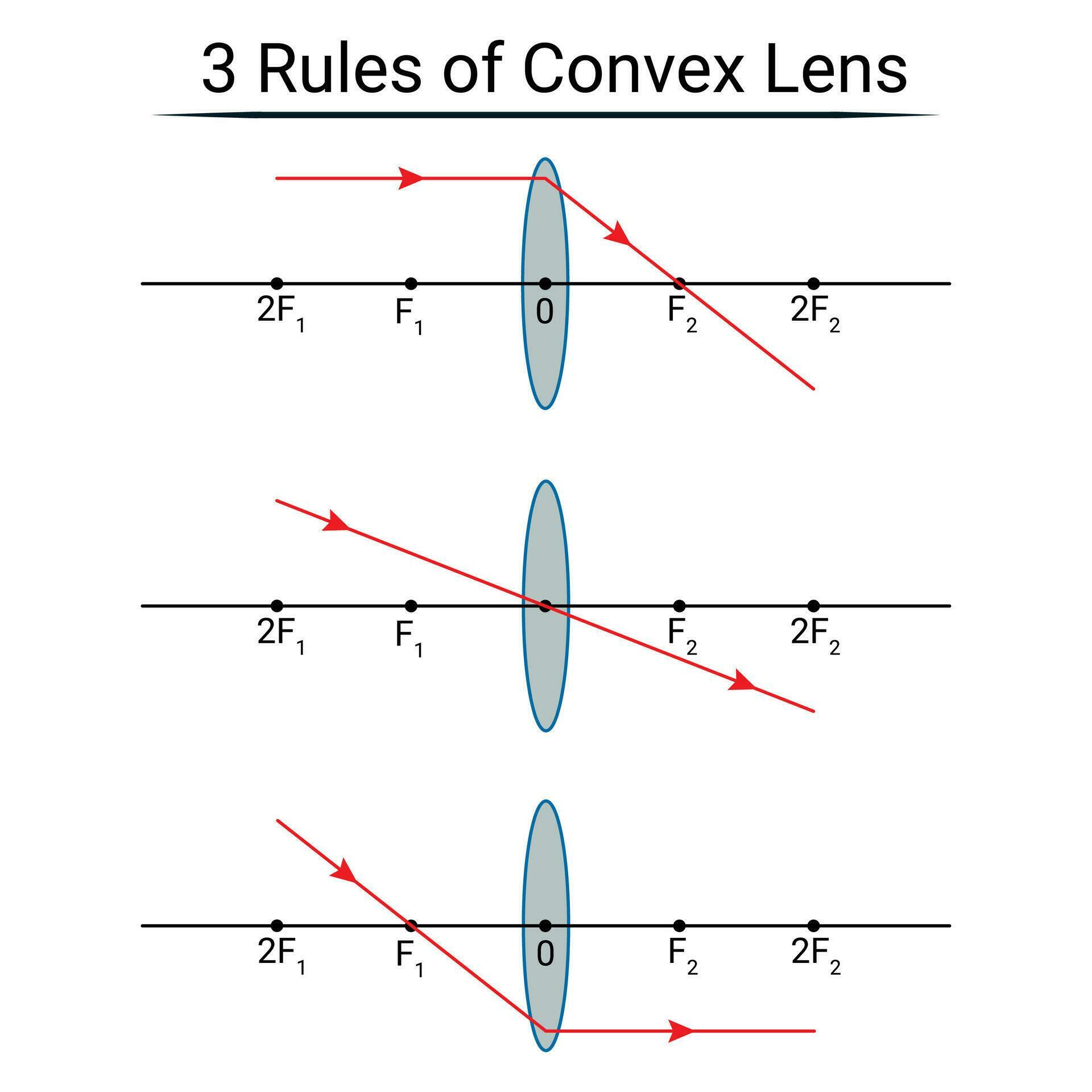 3 Rules of Convex Lens 27799692 Vector Art at Vecteezy