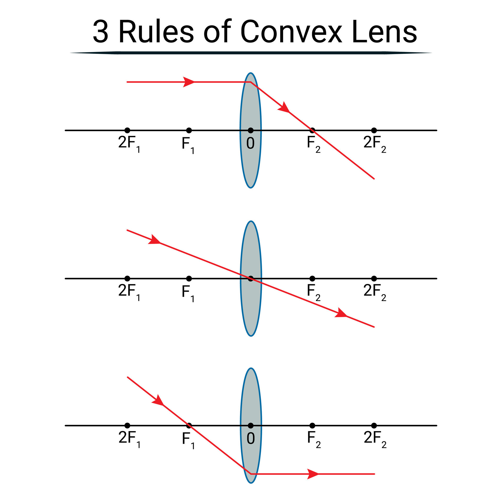 3 Rules Of Convex Lens 27799692 Vector Art At Vecteezy