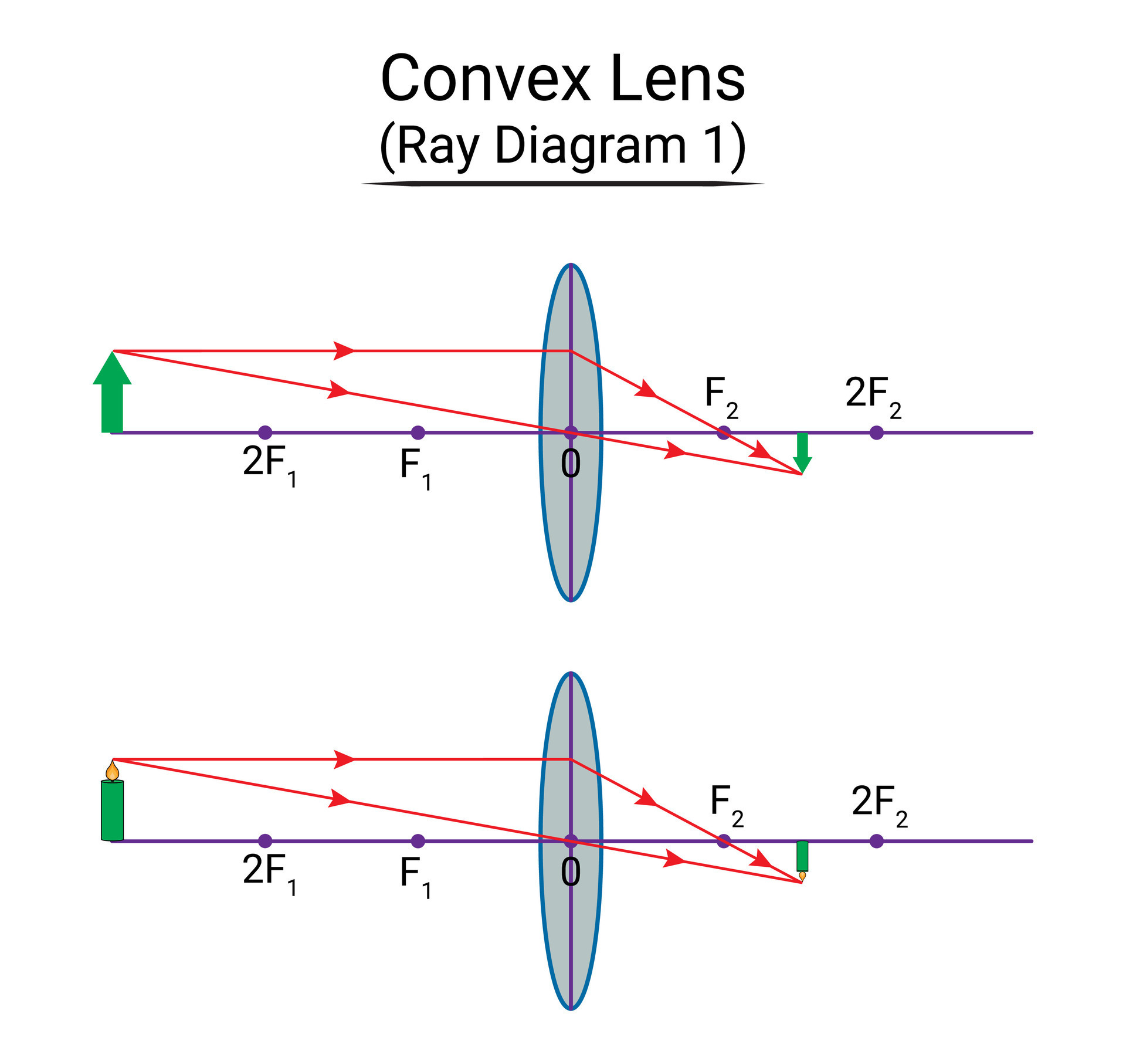 Convex Lens Ray Diagram 1 27799795 Vector Art At Vecteezy convex-lens-ray-diagram-1-27799795-vector-art-at-vecteezy
