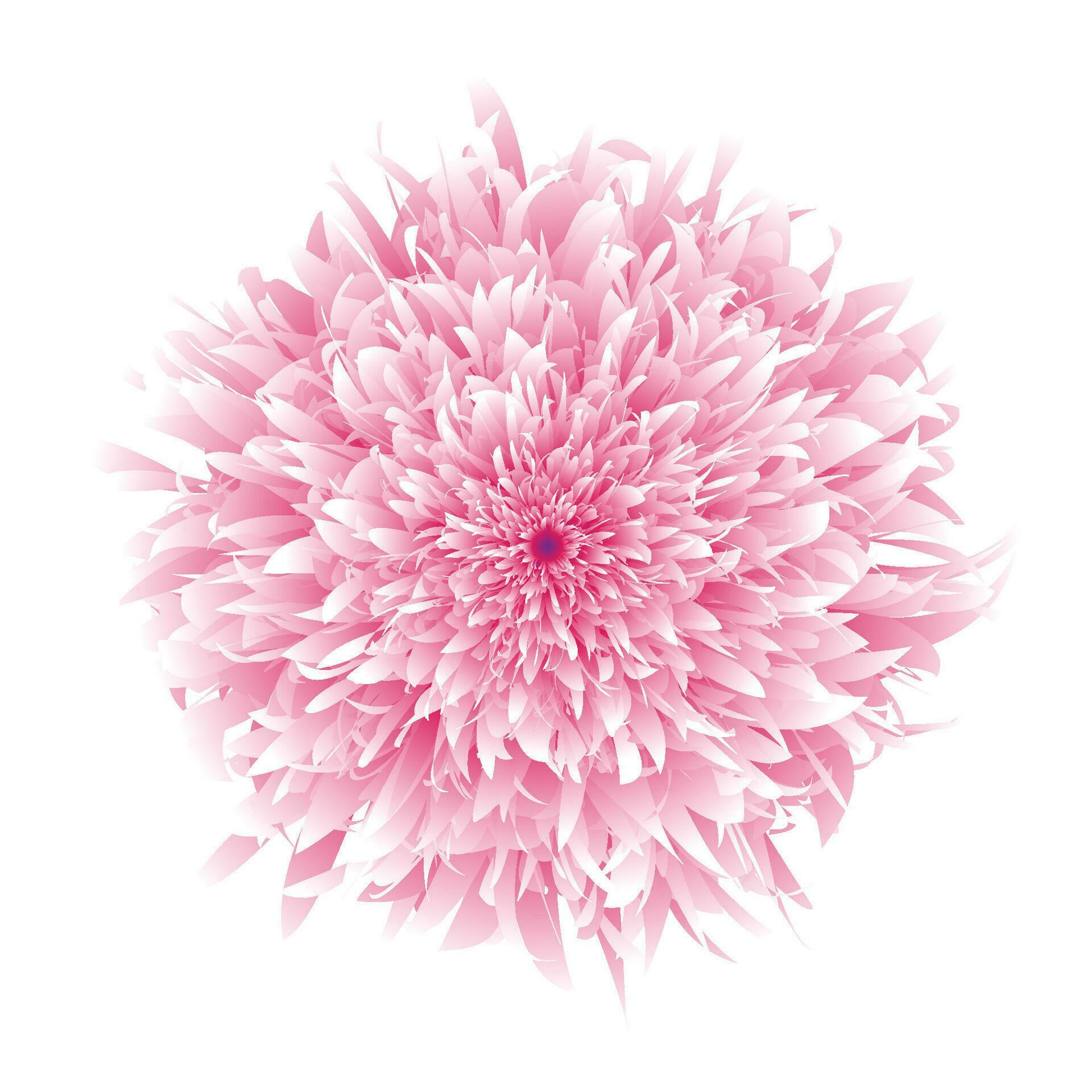 Beautiful Floral Vector Illustration 27810574 Vector Art At Vecteezy