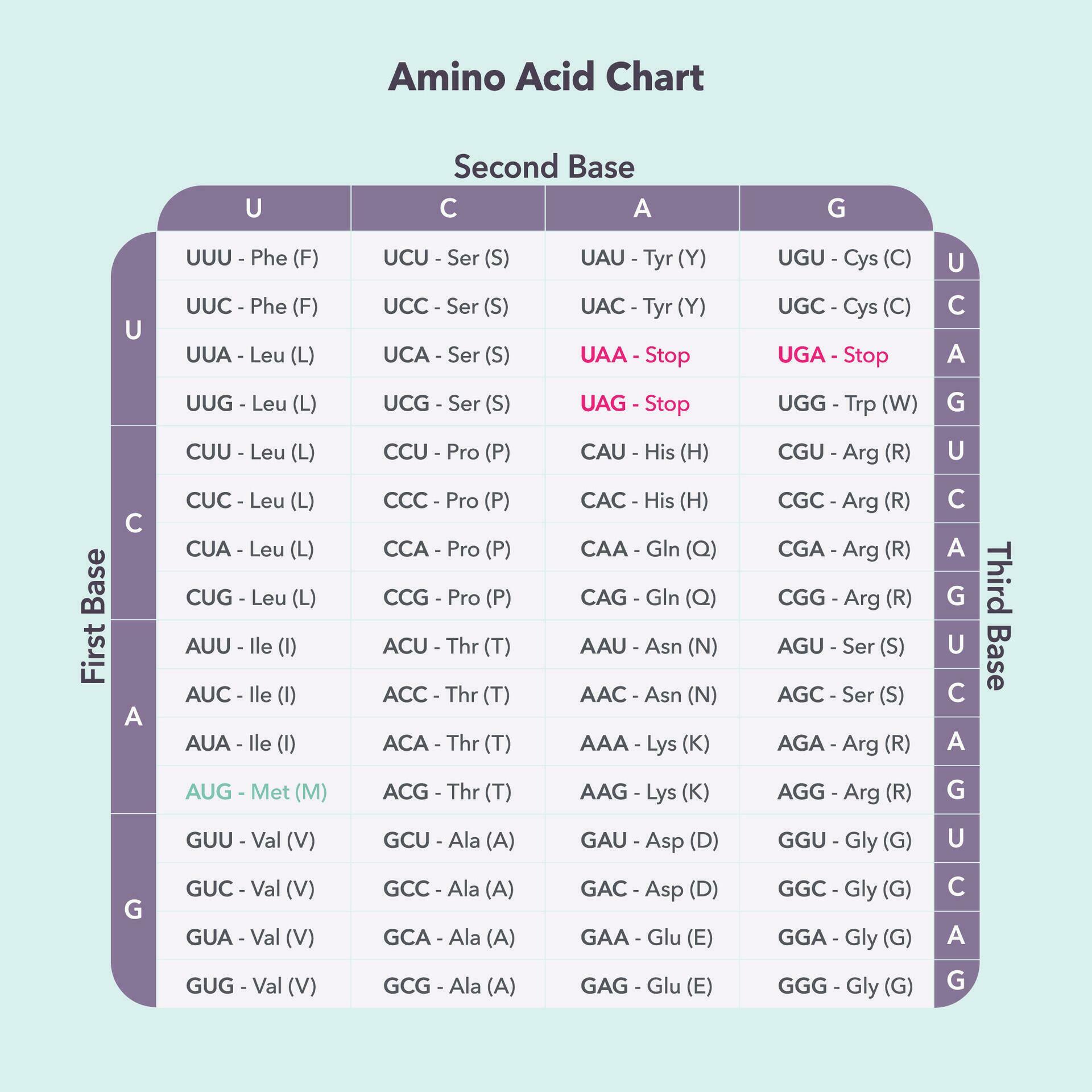 Amino Acid Codon Table Genome Sciences Vector Graphic 27828595 Vector Art At Vecteezy
