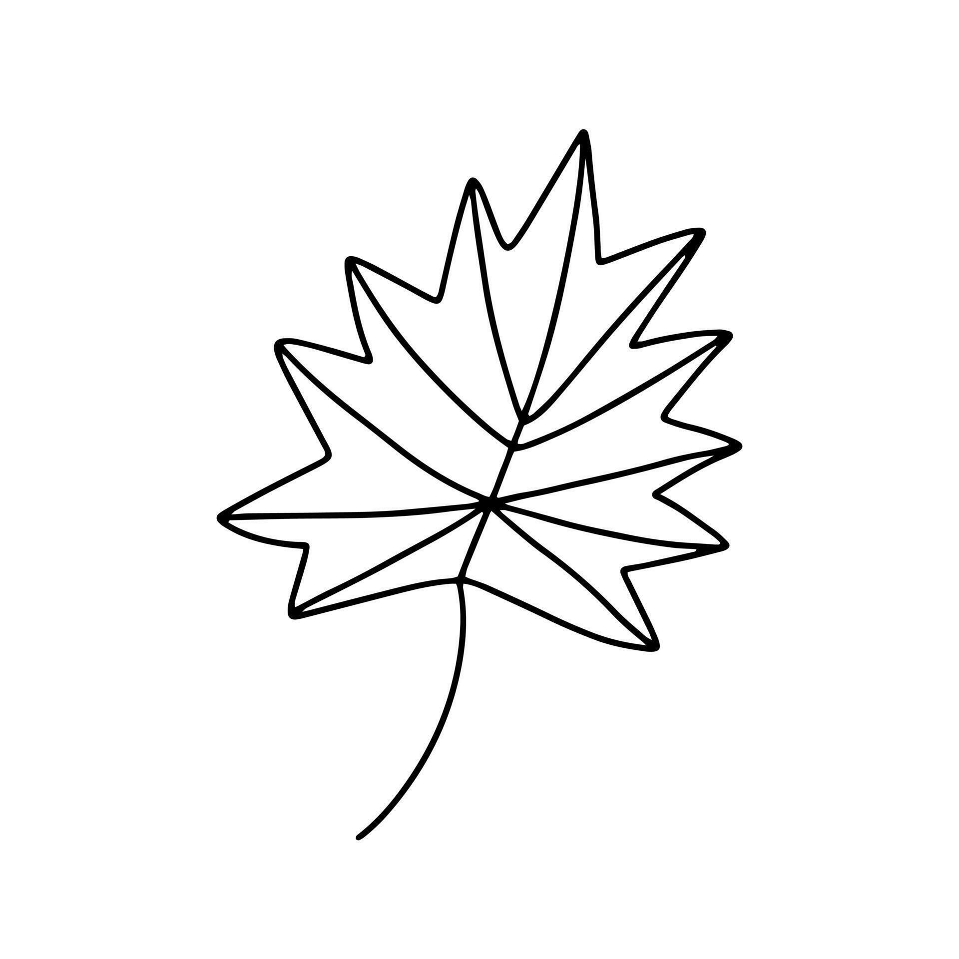 Vector Maple Tree Leaf Hand Drawn Sketch 27877949 Vector Art At Vecteezy