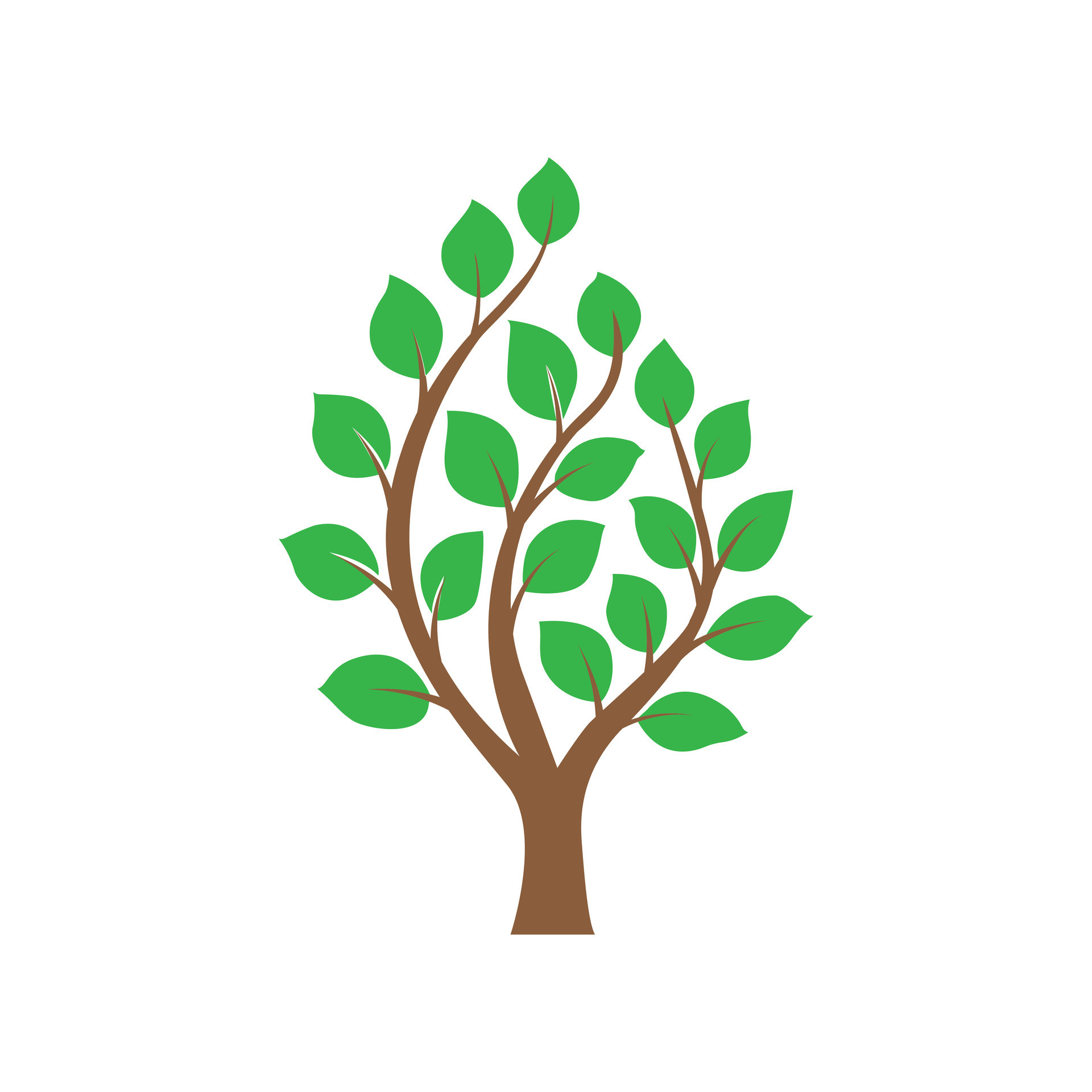 Tree Icons - Classic Line Series.Collection Realistic Trees Isolated on ...
