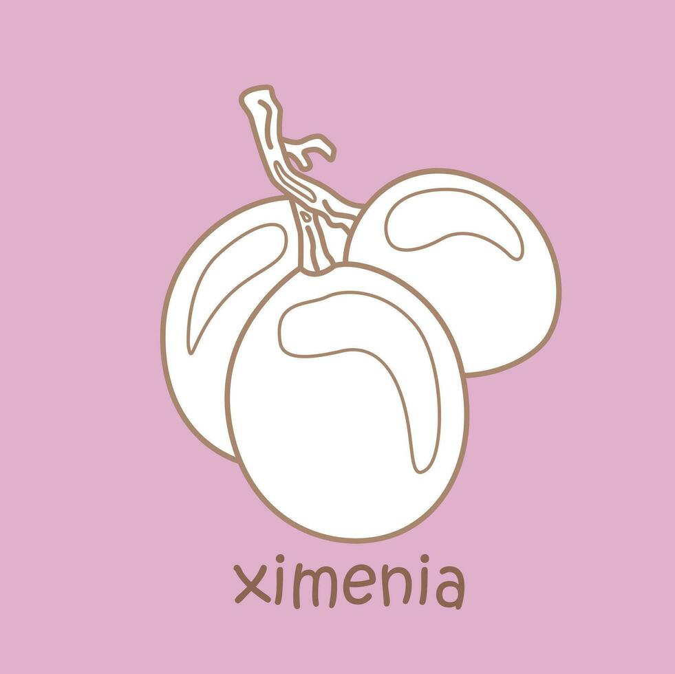 alfabeto X para ximenia vocabulario colegio lección leyendo dibujos ... alfabeto X para ximenia vocabulario colegio lección leyendo dibujos ...