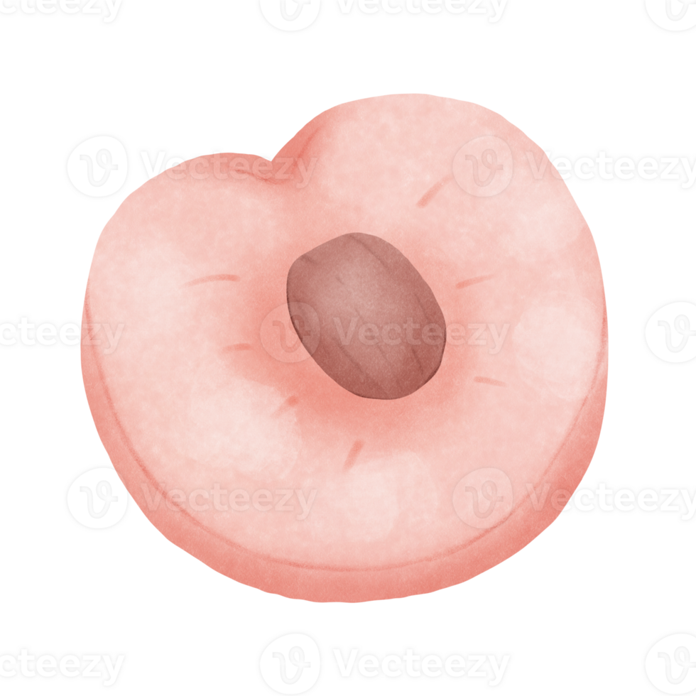 Peach Fruit Illustration 27938819 PNG peach-fruit-illustration-27938819-png
