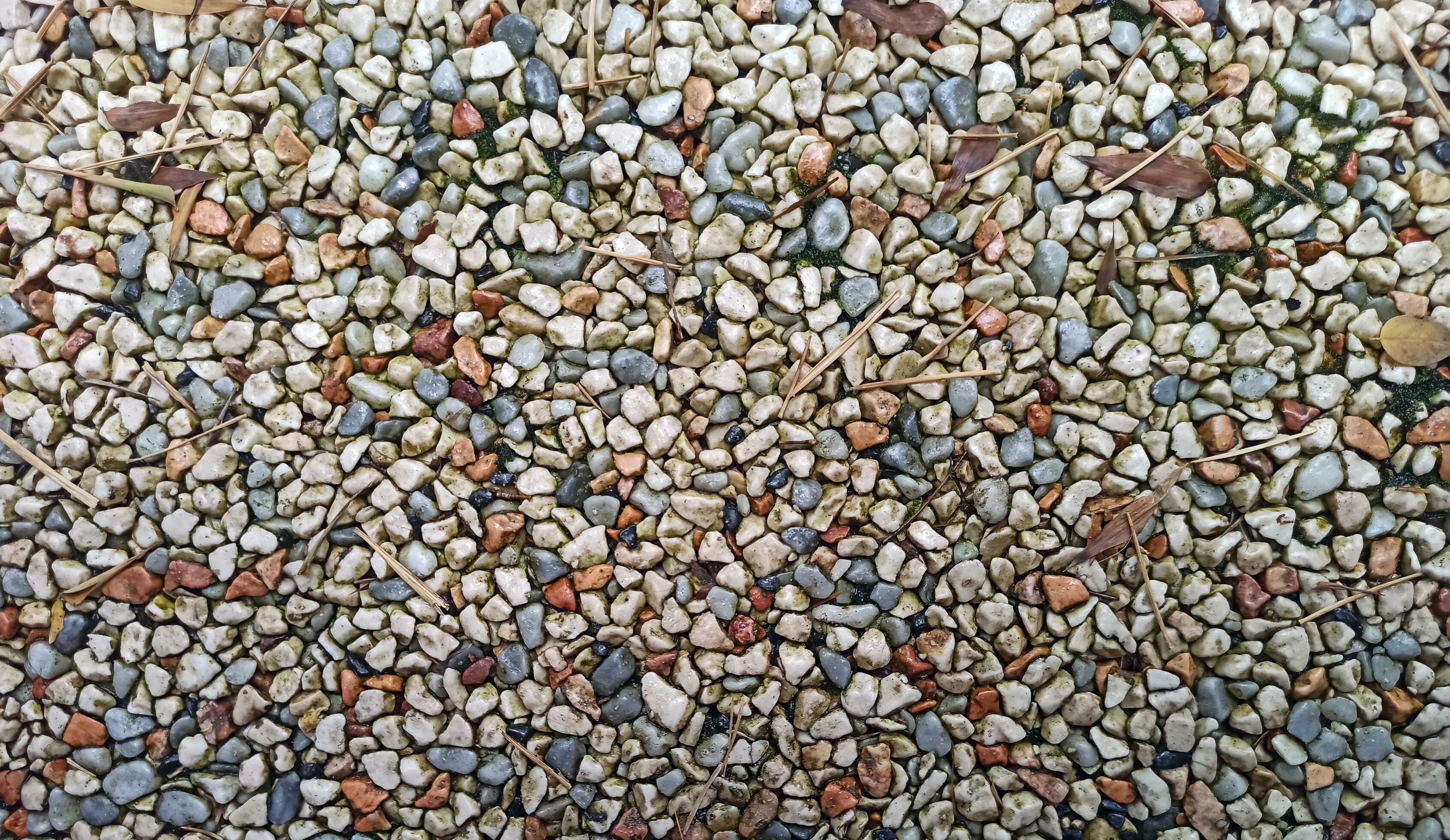 The Path Is The Texture Of Stone And Grass Close Up Background Image Straight Line Of Stone