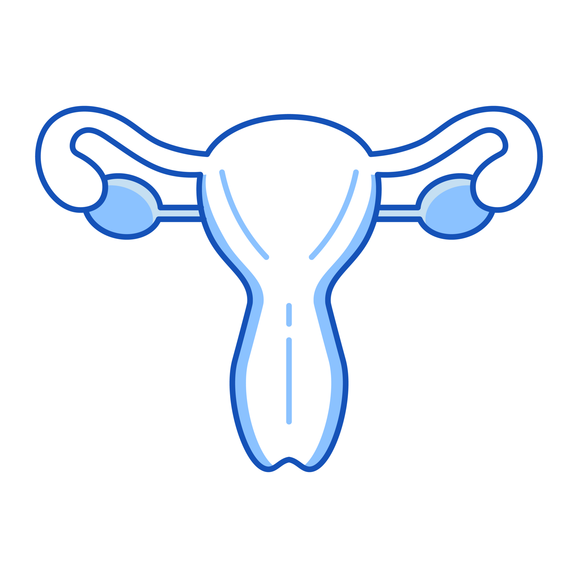 Female Reproductive System Set Of Internal Organ Doodle Style 28121930 Png