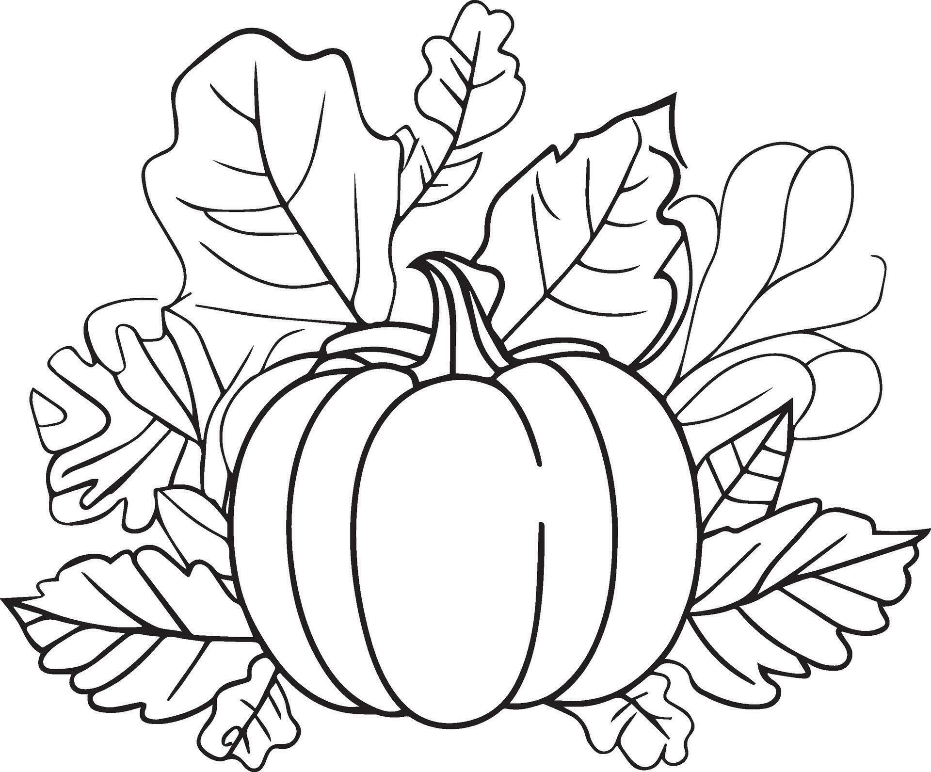 autumn pumpkins and leaves cartoon vector illustration graphic design ...