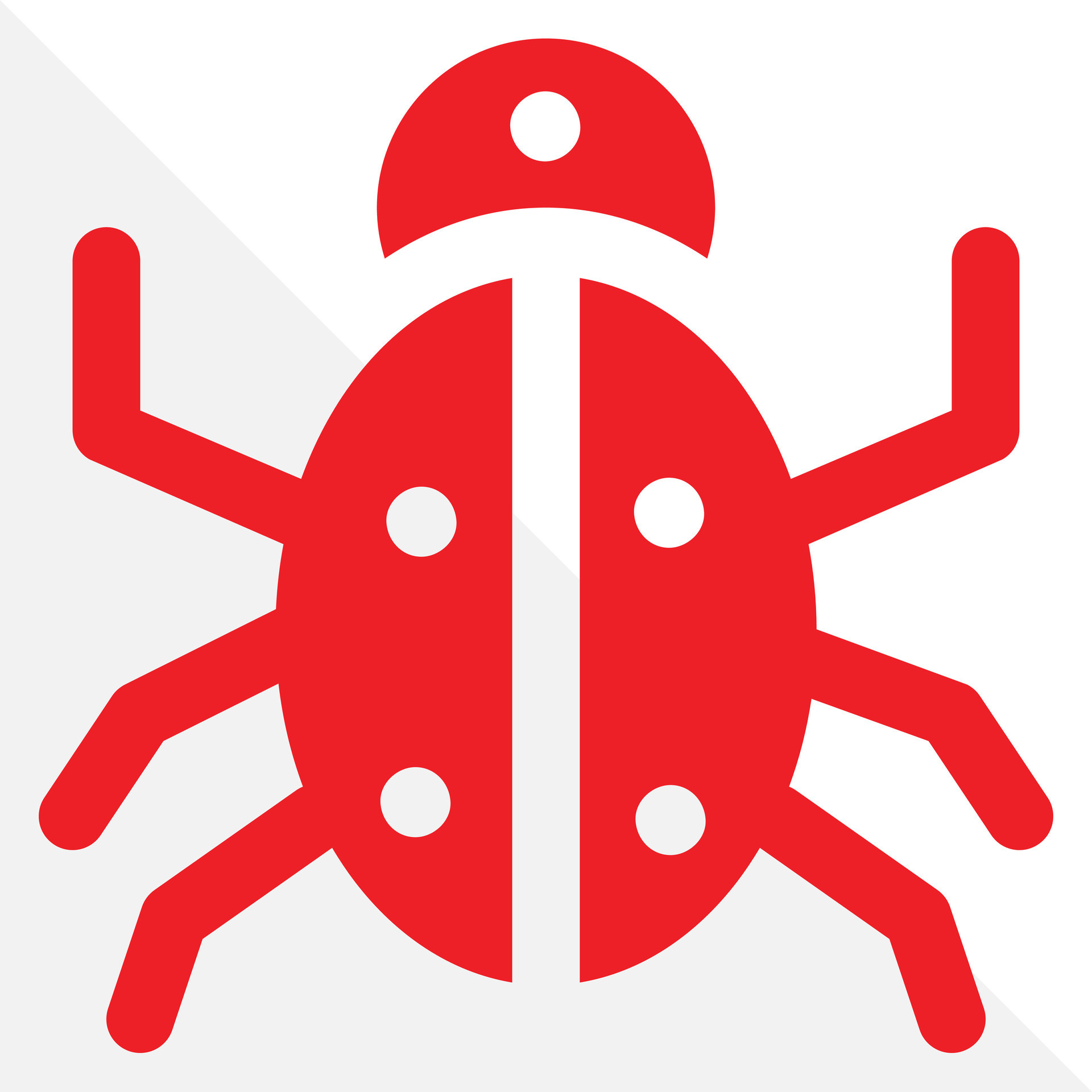 Bug Vector Red Color Icon 28143560 Vector Art at Vecteezy