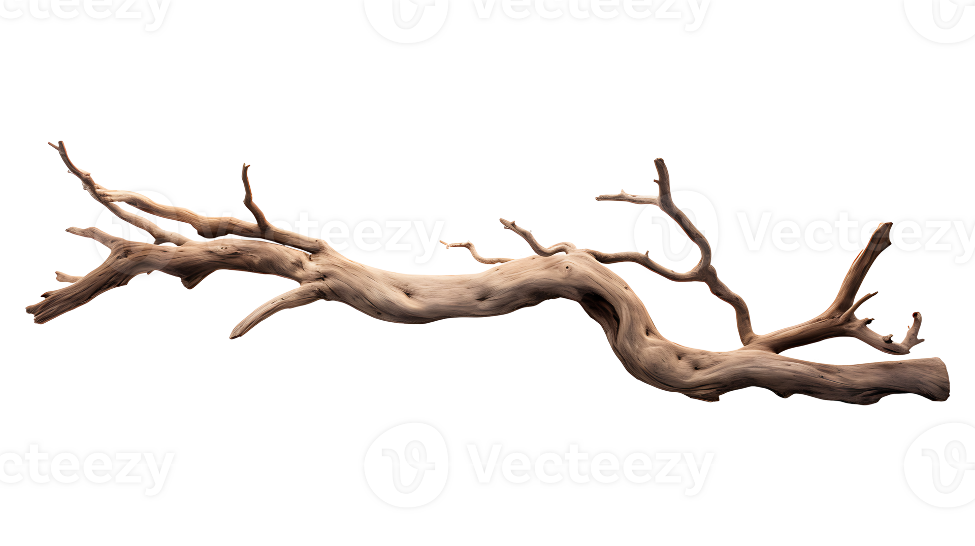 Dry wood branch isolated on transparent background aI generated 28165890 PNG