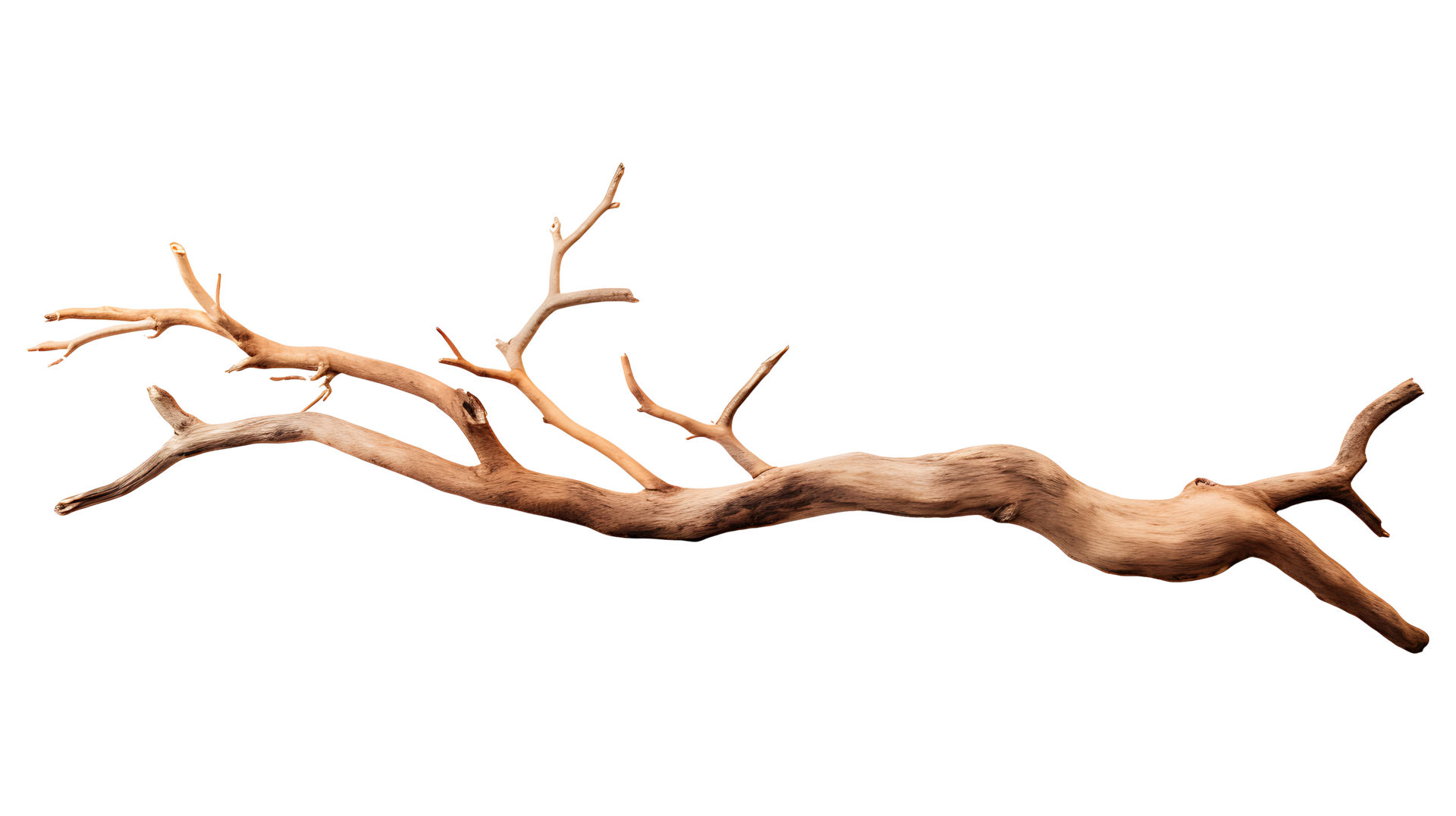 Dry wood branch isolated on transparent background aI generated 28165907 PNG