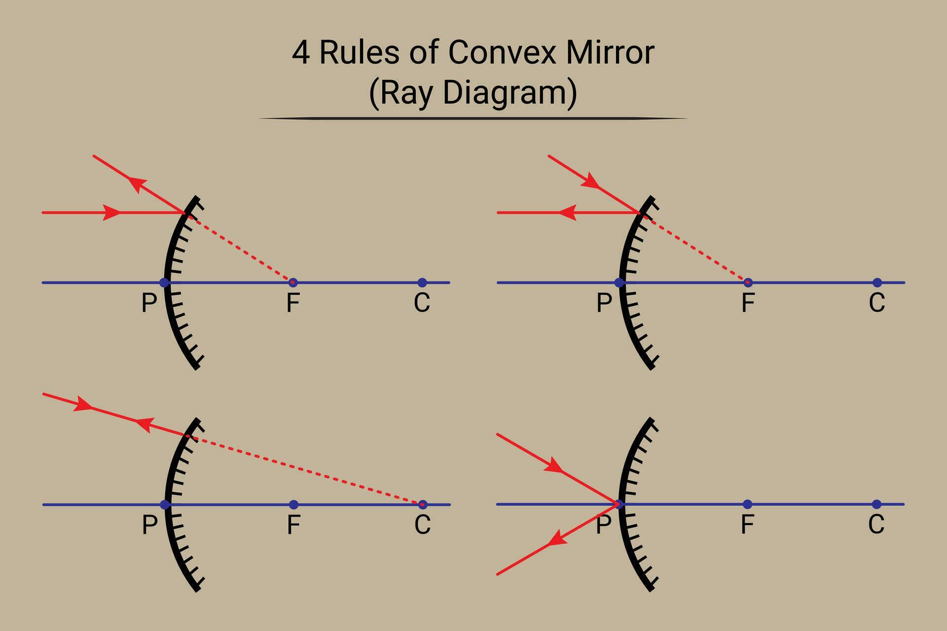 4 Rules of Convex Mirror. Ray Diagram 28175645 Vector Art at Vecteezy 4 Rules of Convex Mirror. Ray Diagram 28175645 Vector Art at Vecteezy