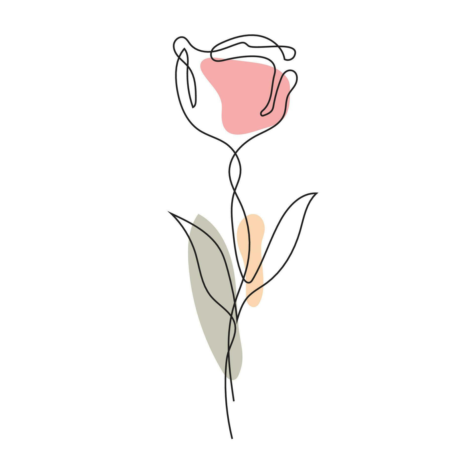 Vector Rose Flower Line Art Contour Drawing Minimalism Art 28196075