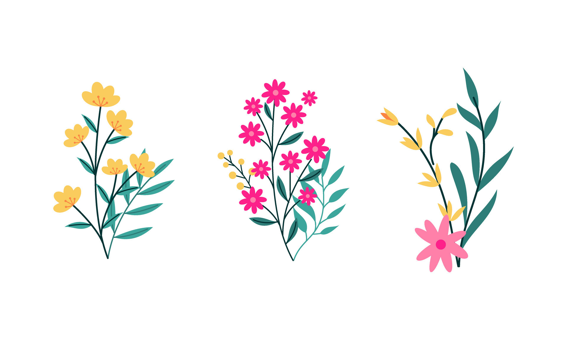Organic flat spring flower collection 28232996 Vector Art at Vecteezy