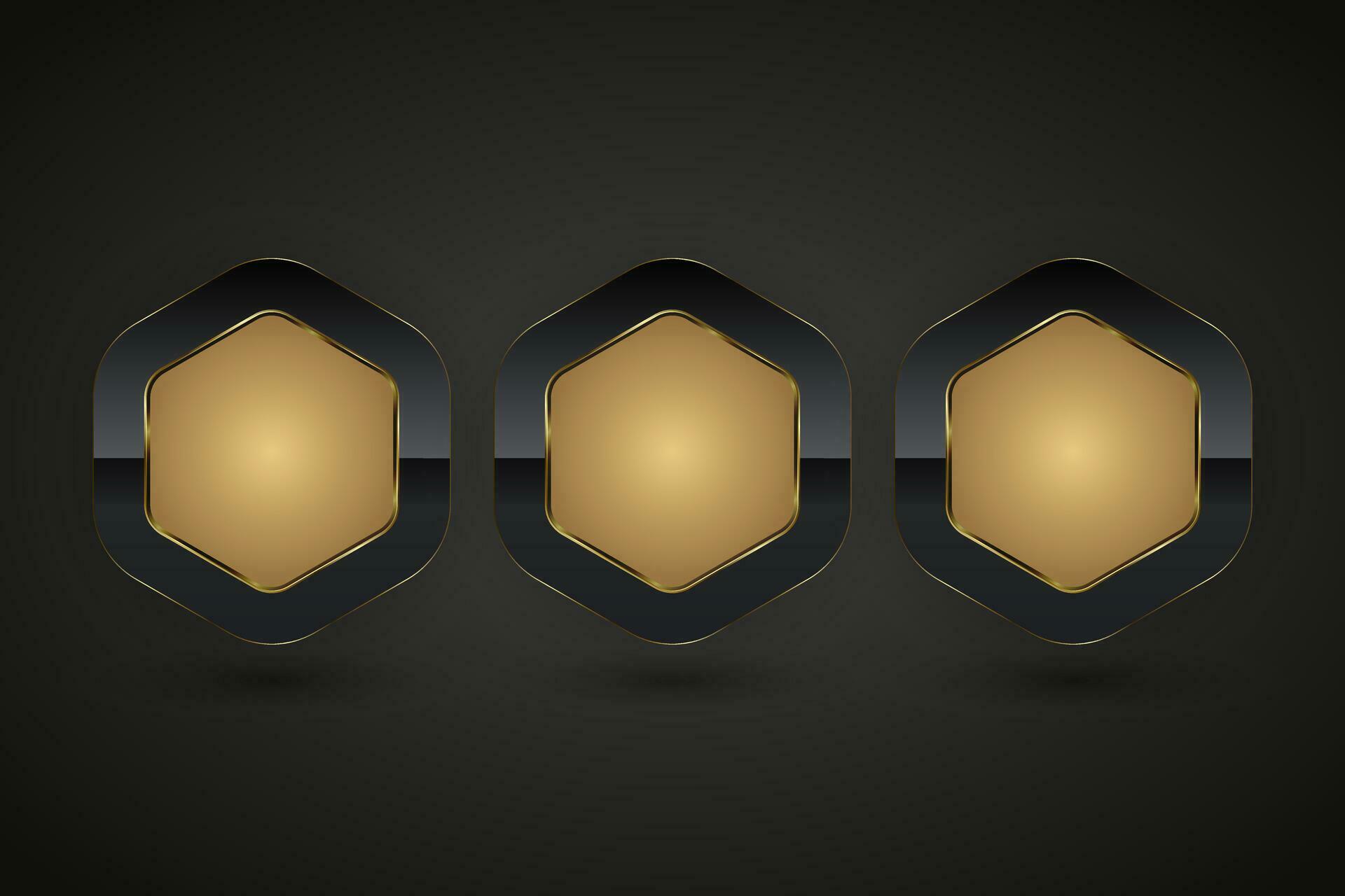 Three Luxury buttons of hexagon shapes with golden frame vector ...