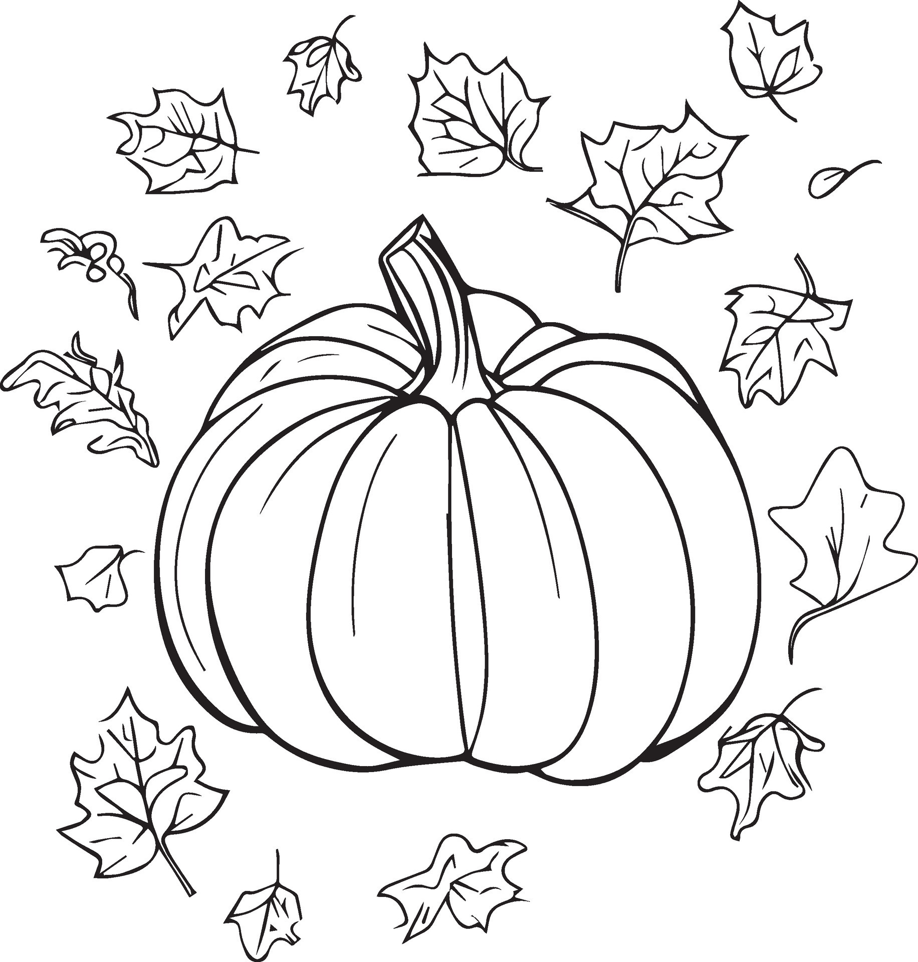 Autumn harvest vegetable pumpkin Autumn Fall season coloring ...