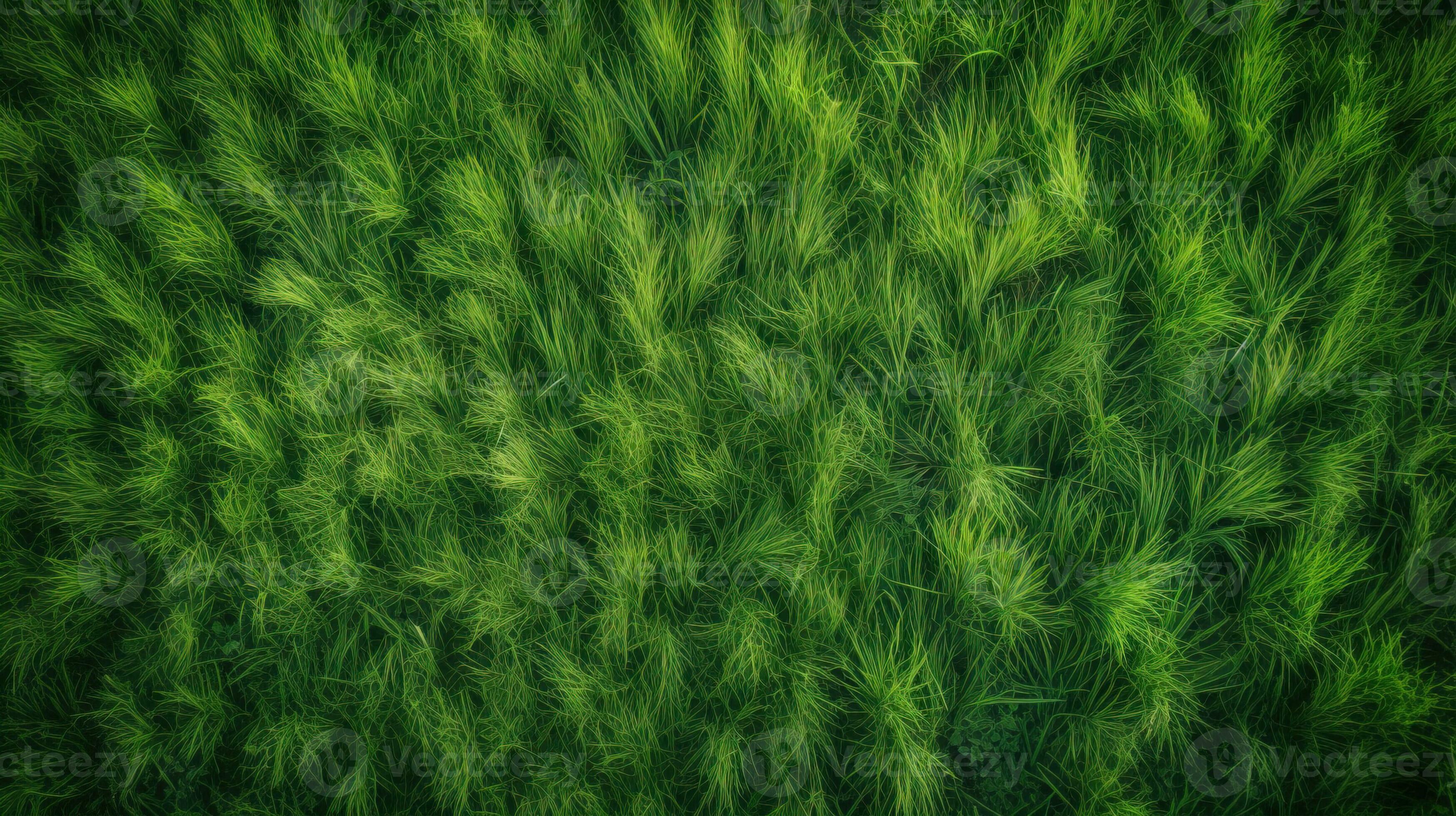 Green Grass Top View Background Texture Home Garden Lawn Sports Field Ai Generated 28245441