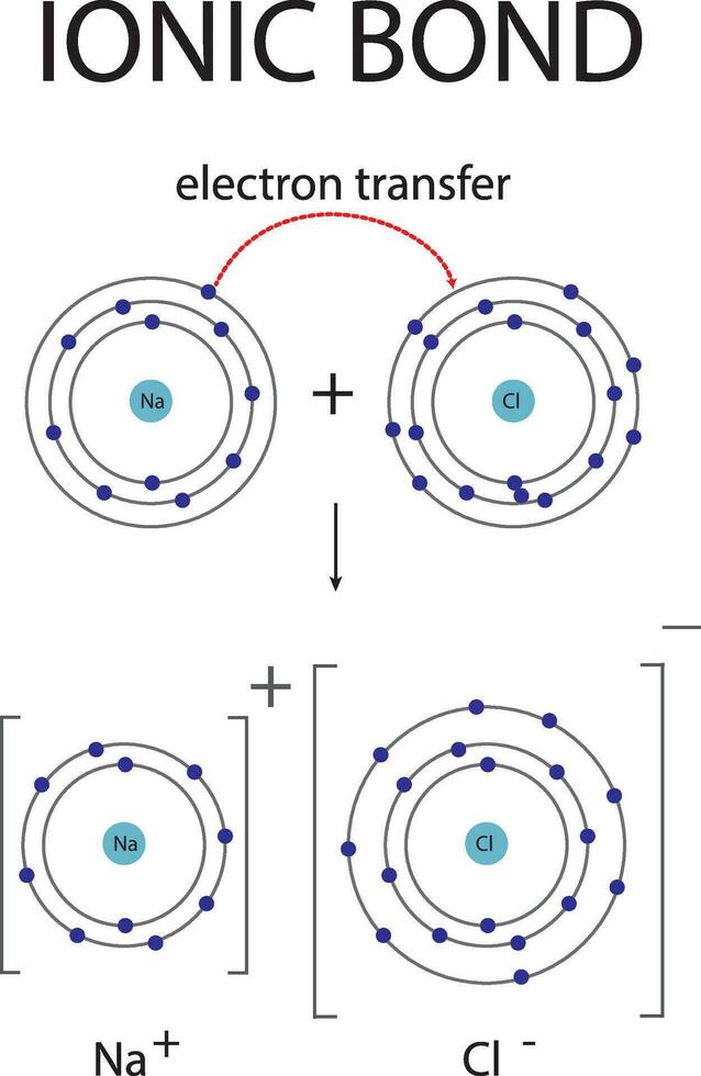 Ionic bonding diagram for chemistry education 28281612 Vector Art at Vecteezy