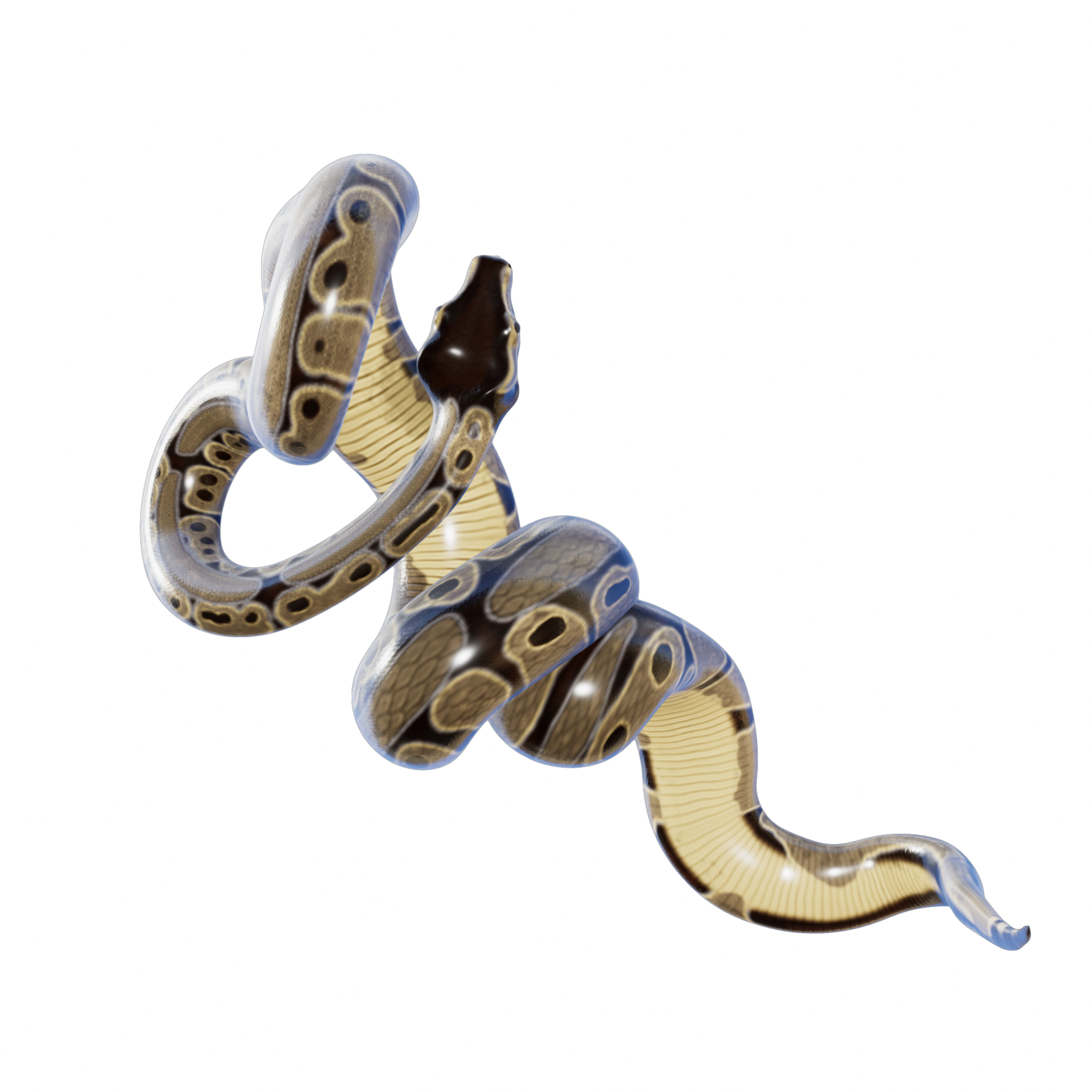 Snake isolated 3d 28292384 PNG