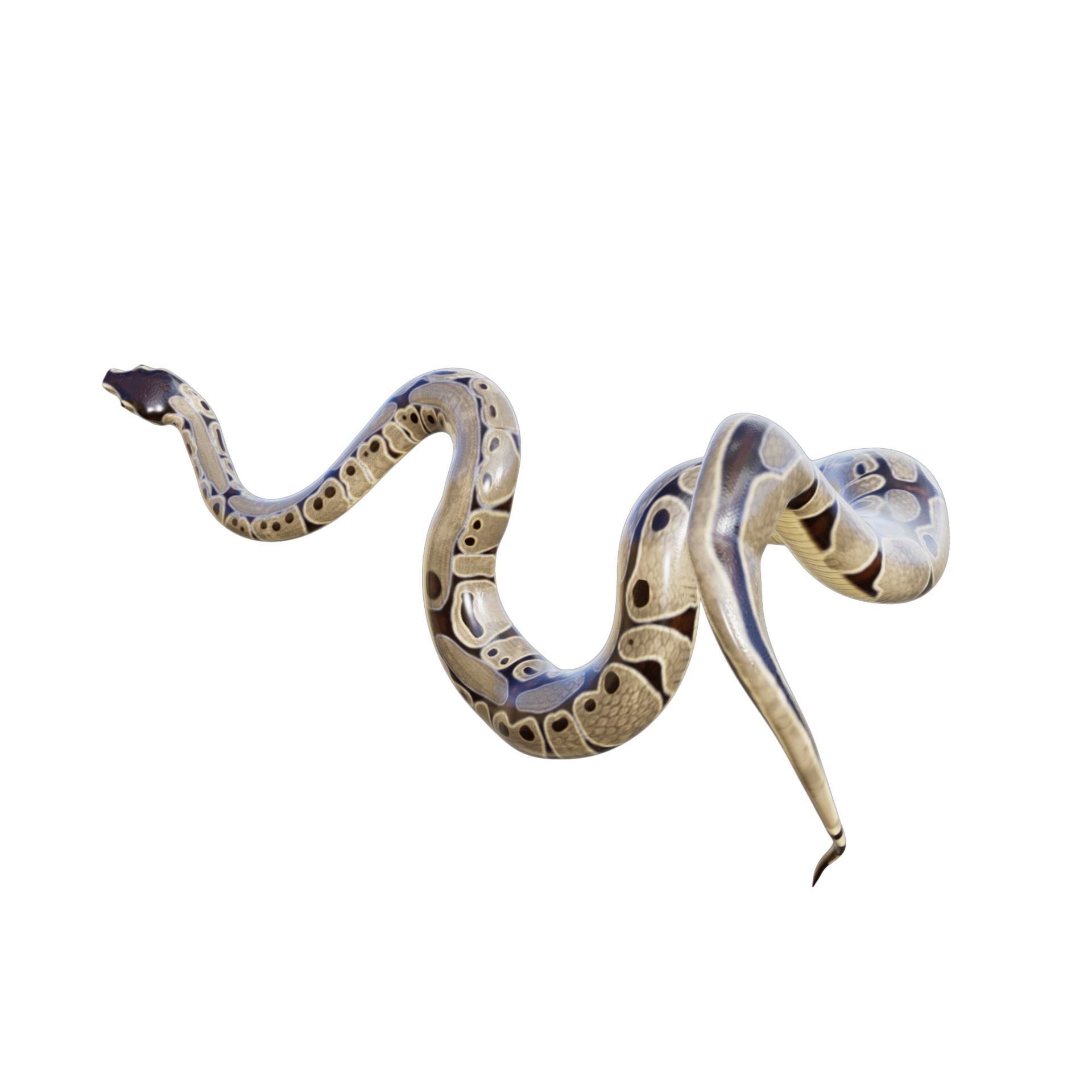 Snake isolated 3d 28292413 PNG