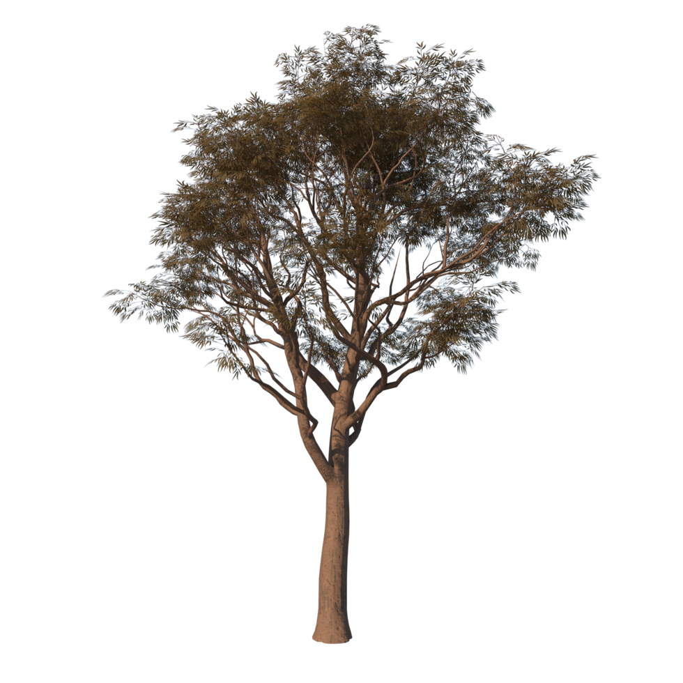 Tree without background high quality free download 28346387 PNG